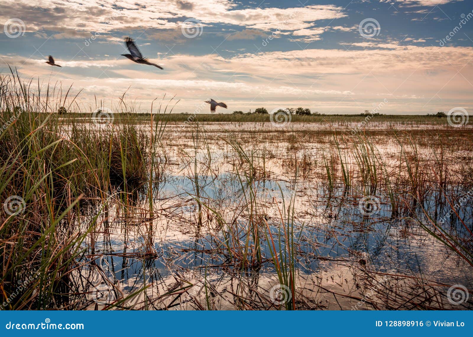 Royalty Free Images, Cartoons, Illustrations And Photos Designed By ...