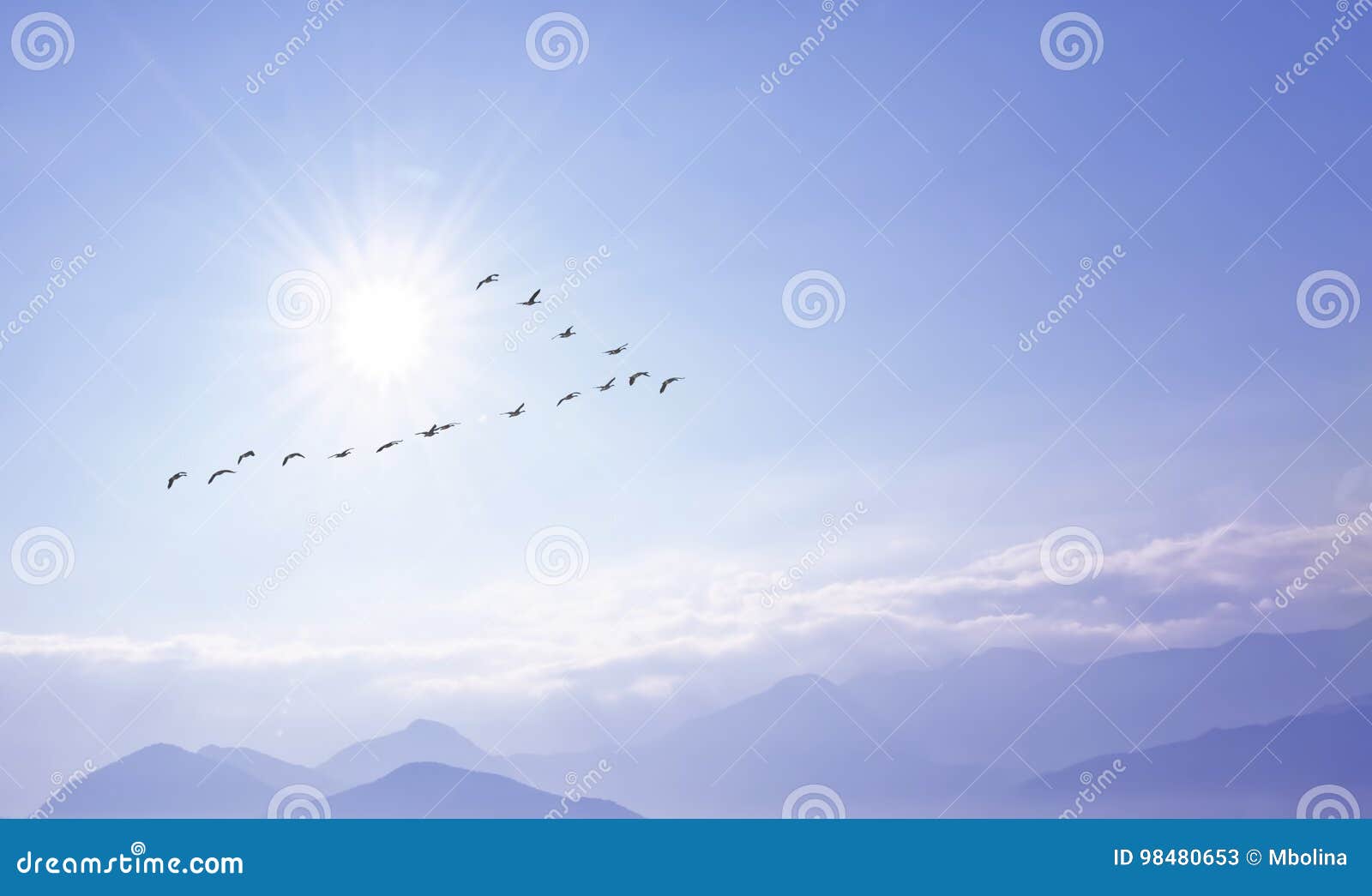 Birds Flying Over the Mountains Stock Image - Image of reserve, climate ...