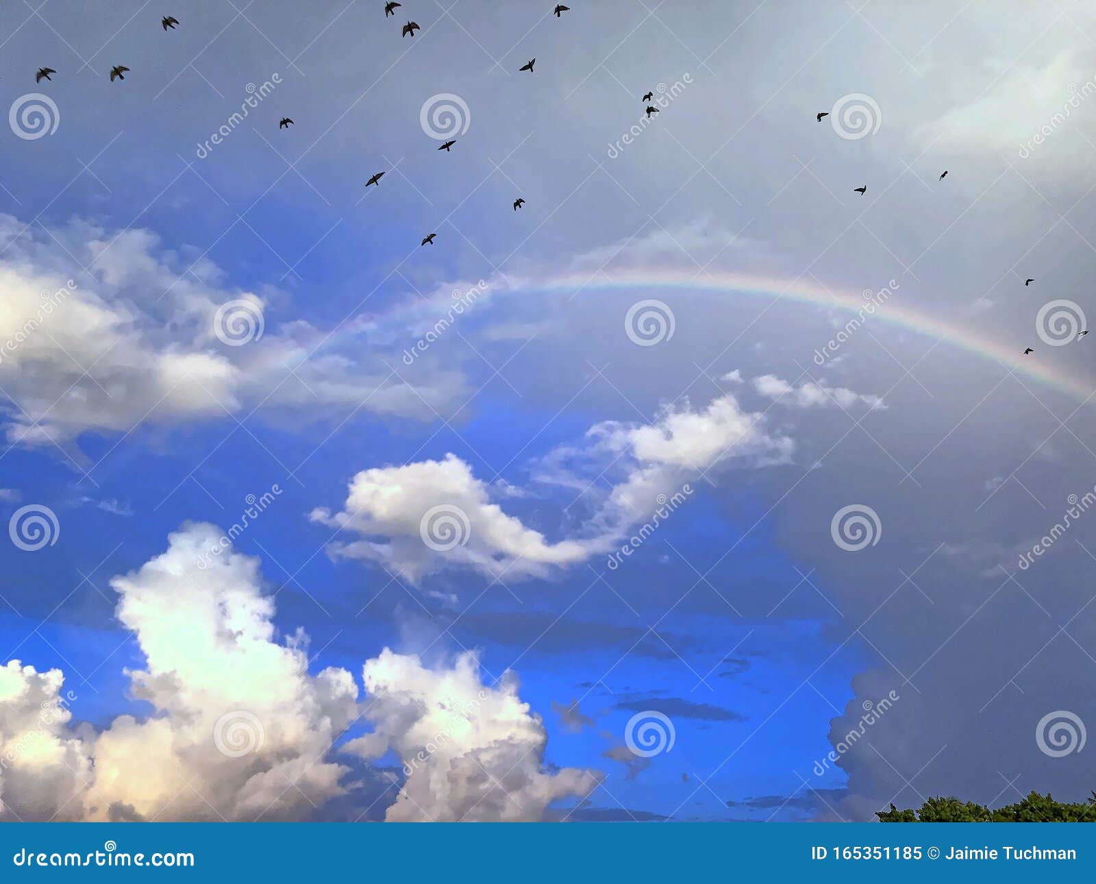 Birds Flying Over Rainbow at Beach Stock Image - Image of cloud, cloudy ...