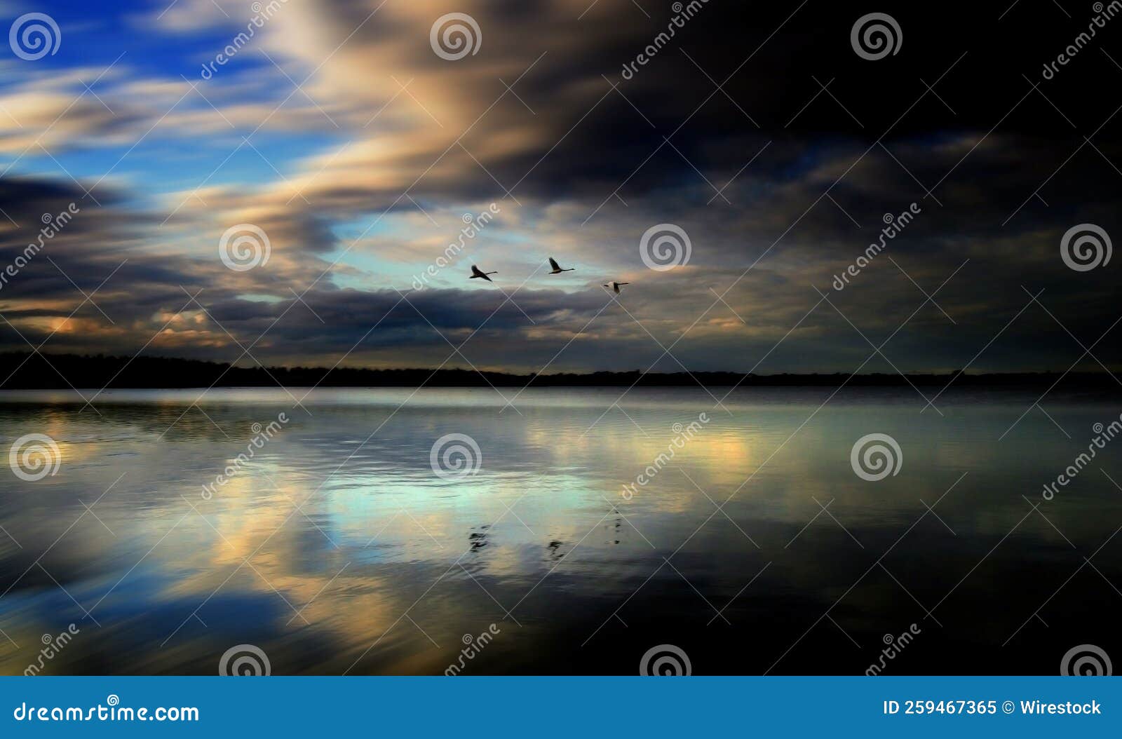 Birds Flying Over the River Against a Dramatic Cloudy Sky Stock Image ...