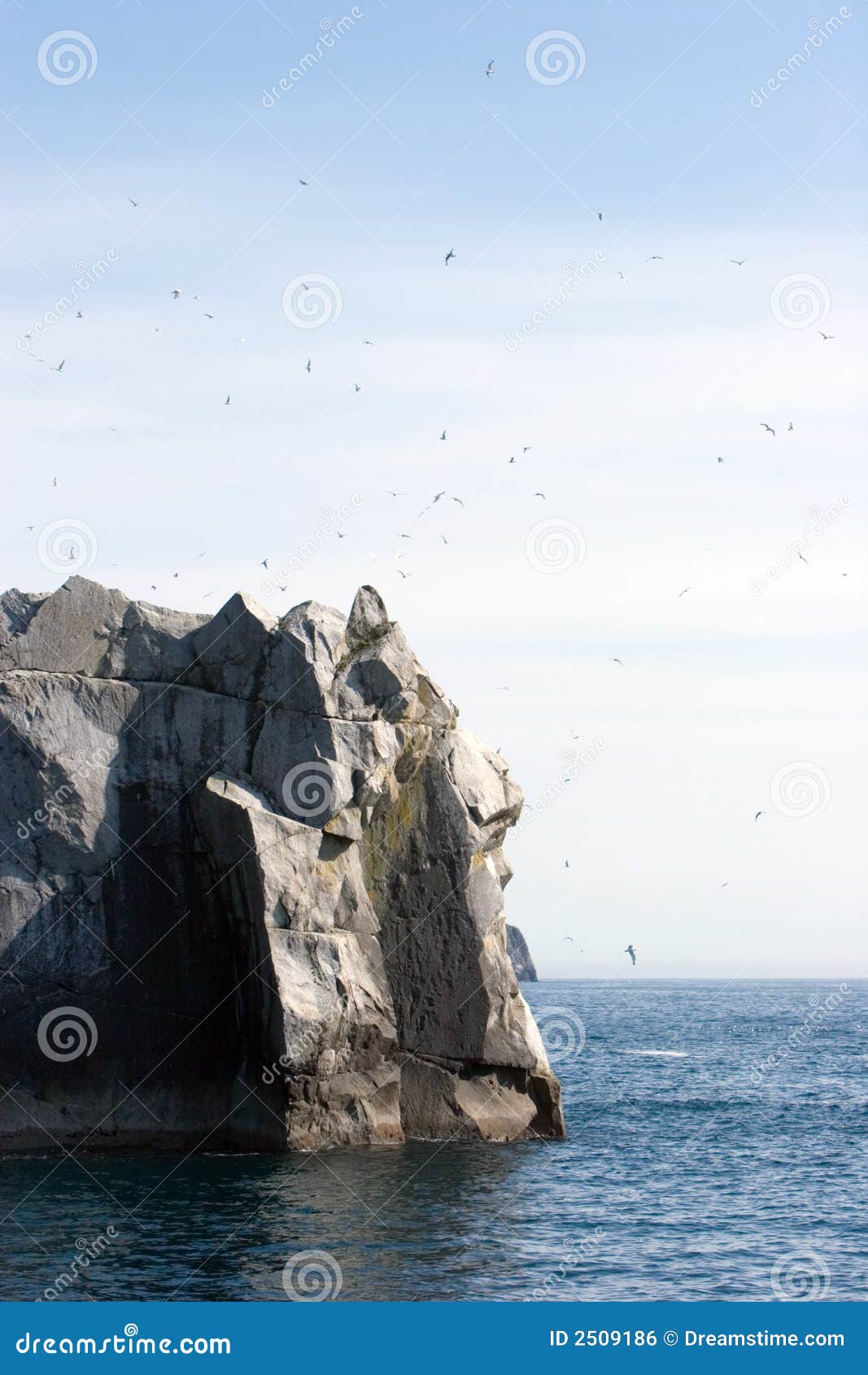 Birds flying over rock stock photo. Image of mountain - 2509186