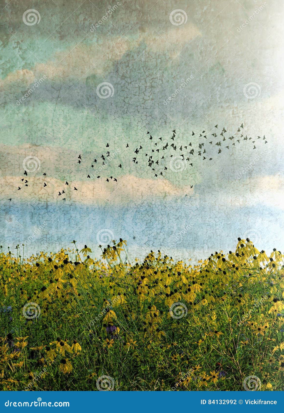 Birds Flying Over Wild Flowers Stock Photo - Image of texture, warm ...
