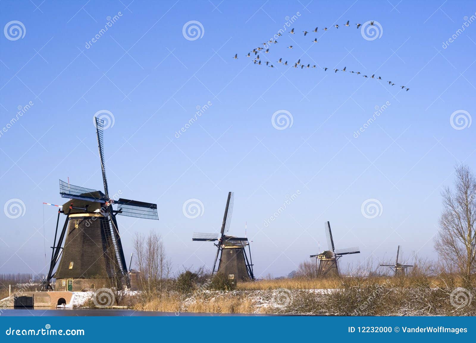 Birds Flying Over Windmills Stock Photo - Image of unesco, kinderdijk ...