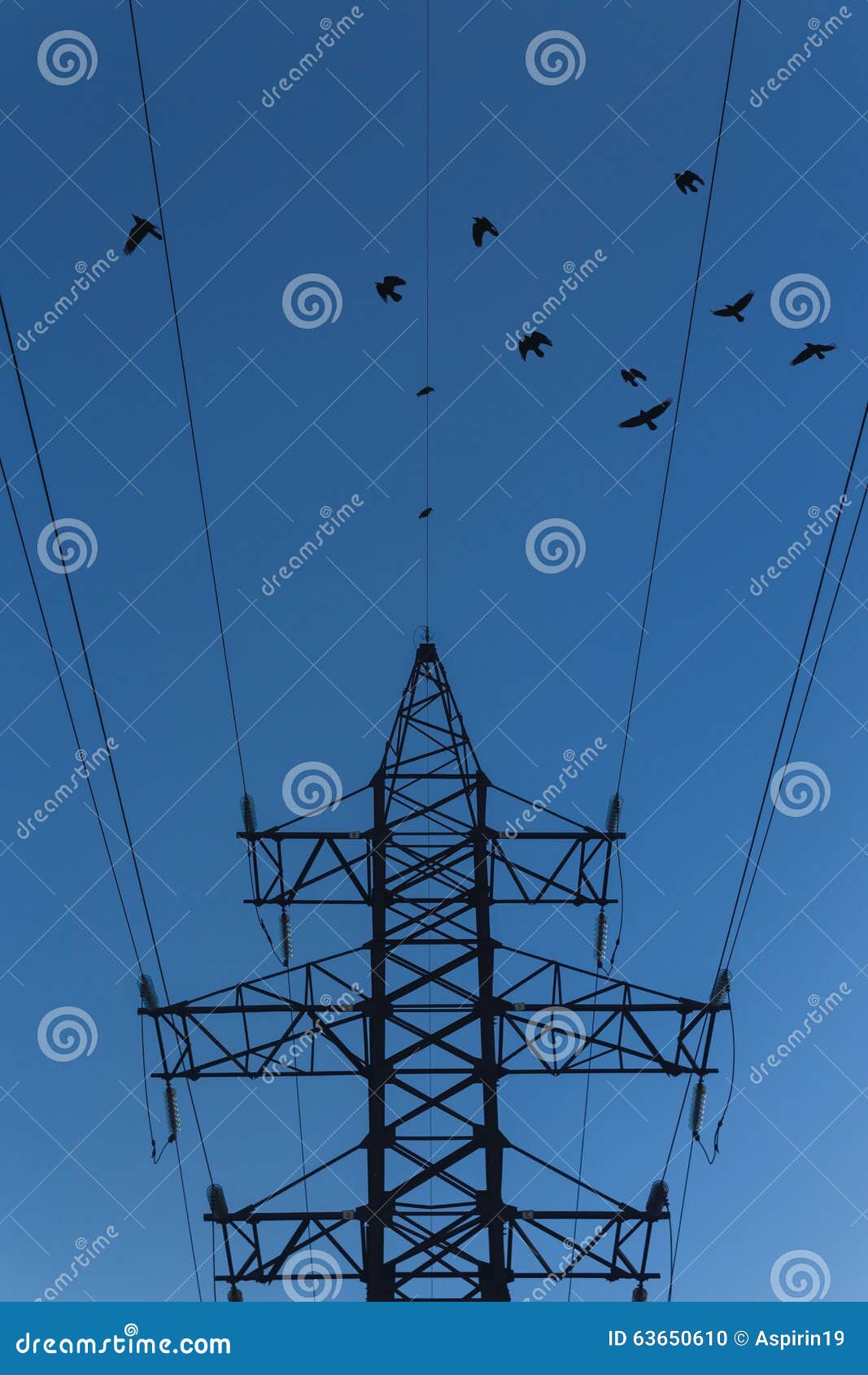 Birds Flying on Power Lines in the Sunset Stock Photo - Image of pillar ...