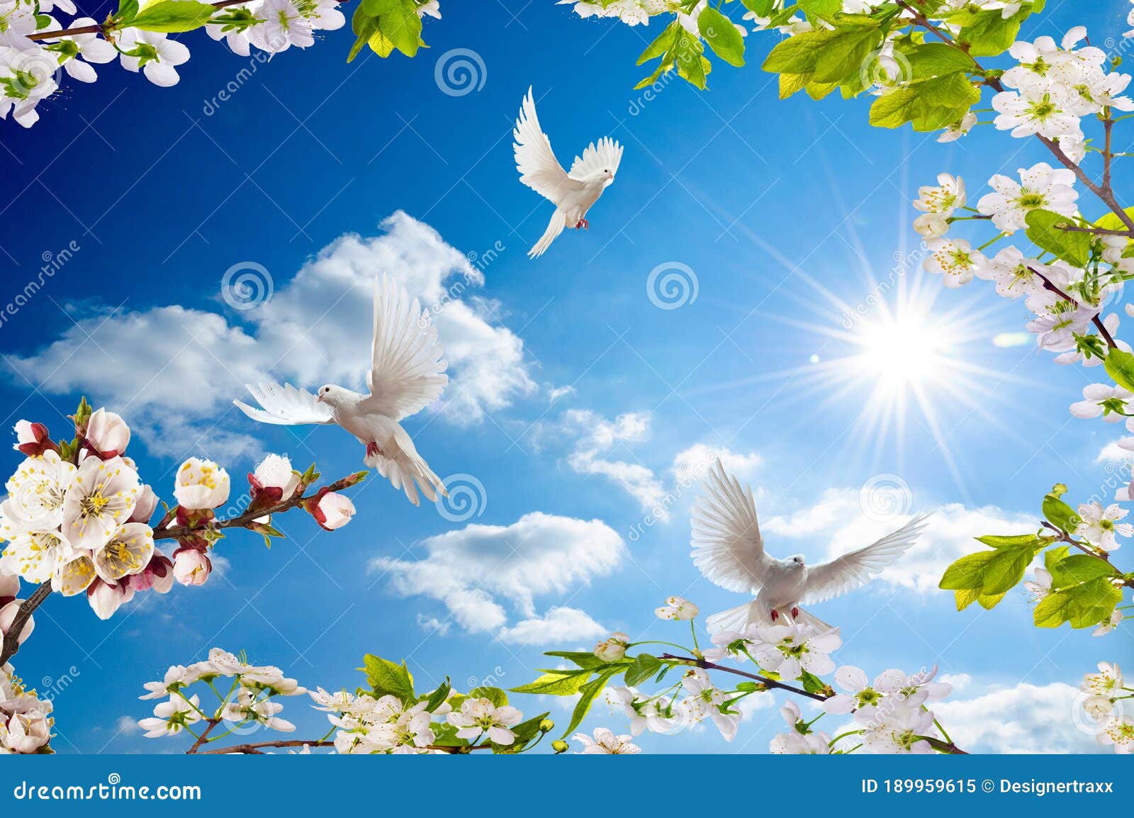 Sunny Sky and Rejoicing Birds in Spring Stock Image - Image of leaf ...