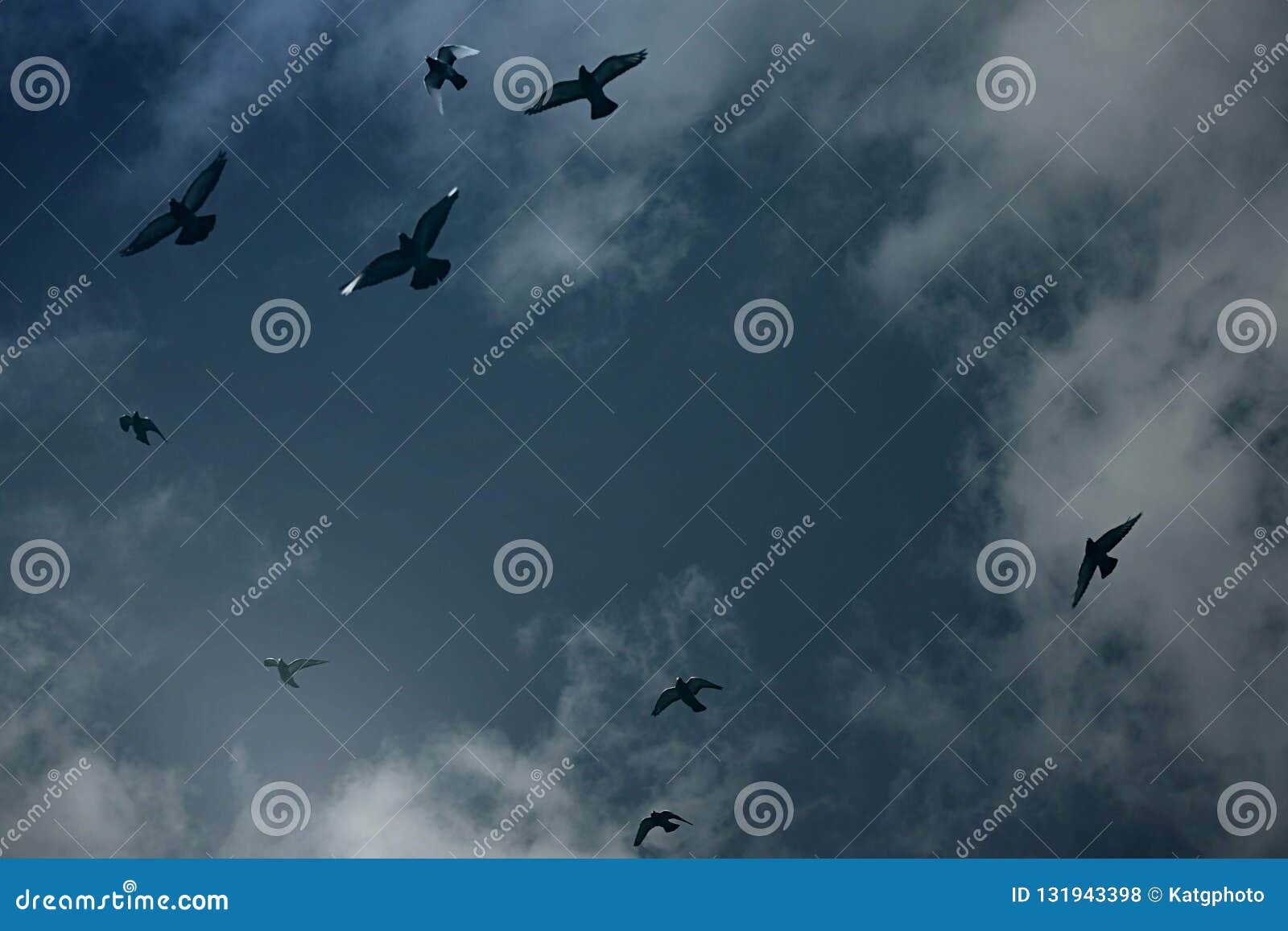Birds Flying through the Storm Clouds Stock Photo - Image of cloudscape ...