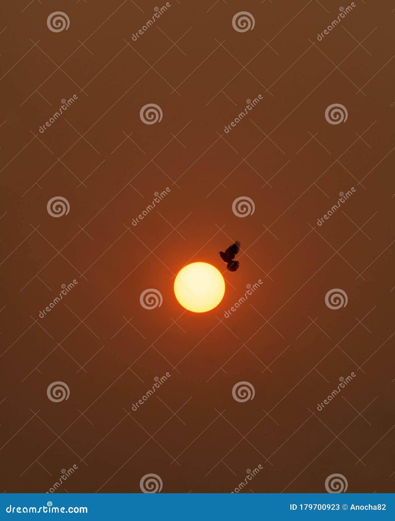 Birds flying with the sun stock image. Image of abstract - 179700923