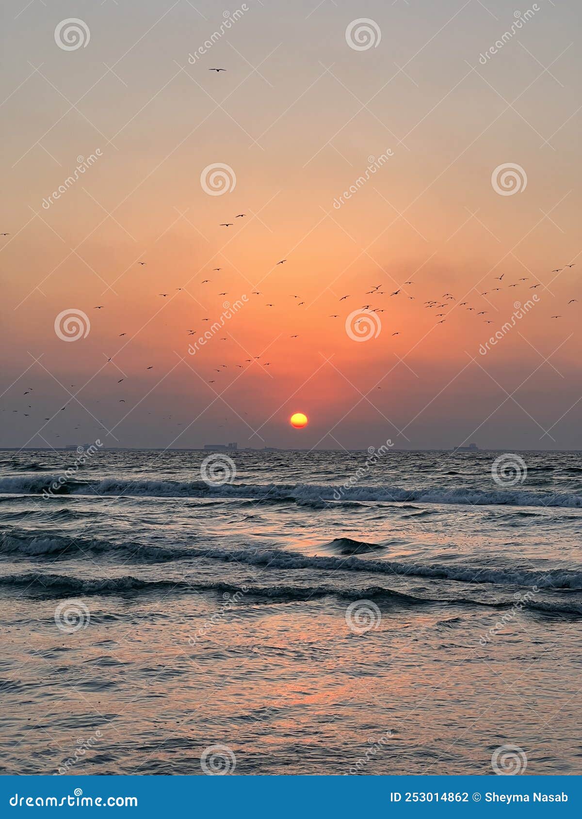 Birds Flying through Sunset on the Horizon Stock Photo - Image of ...