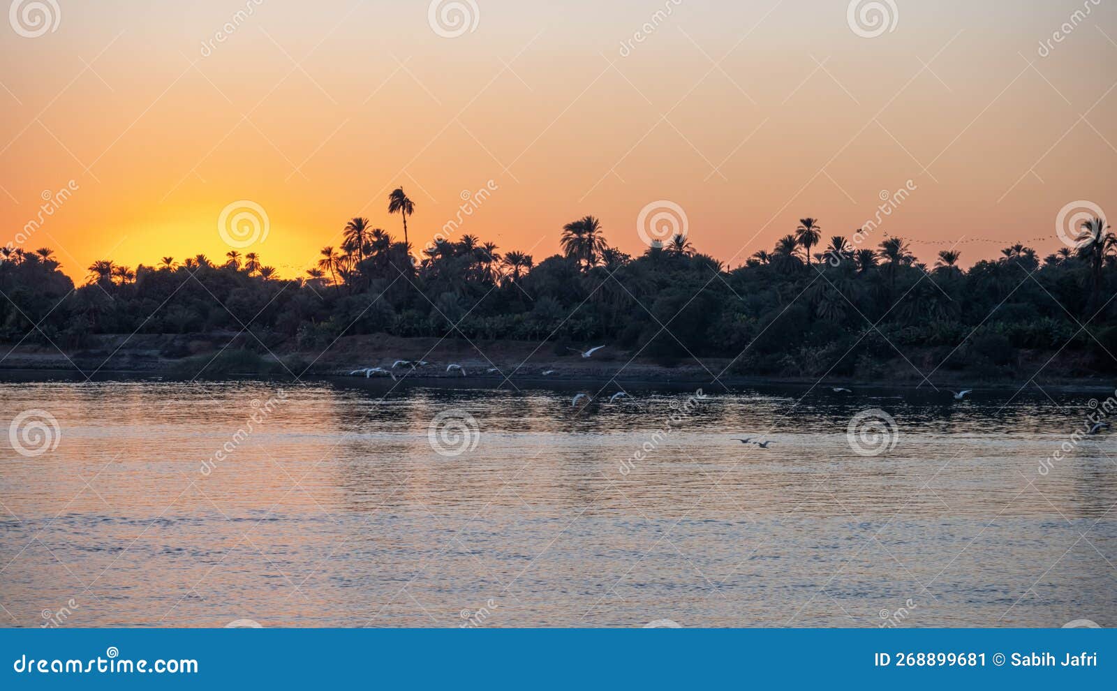 Birds Flying during Sunset Over the Nile Stock Image - Image of safari ...