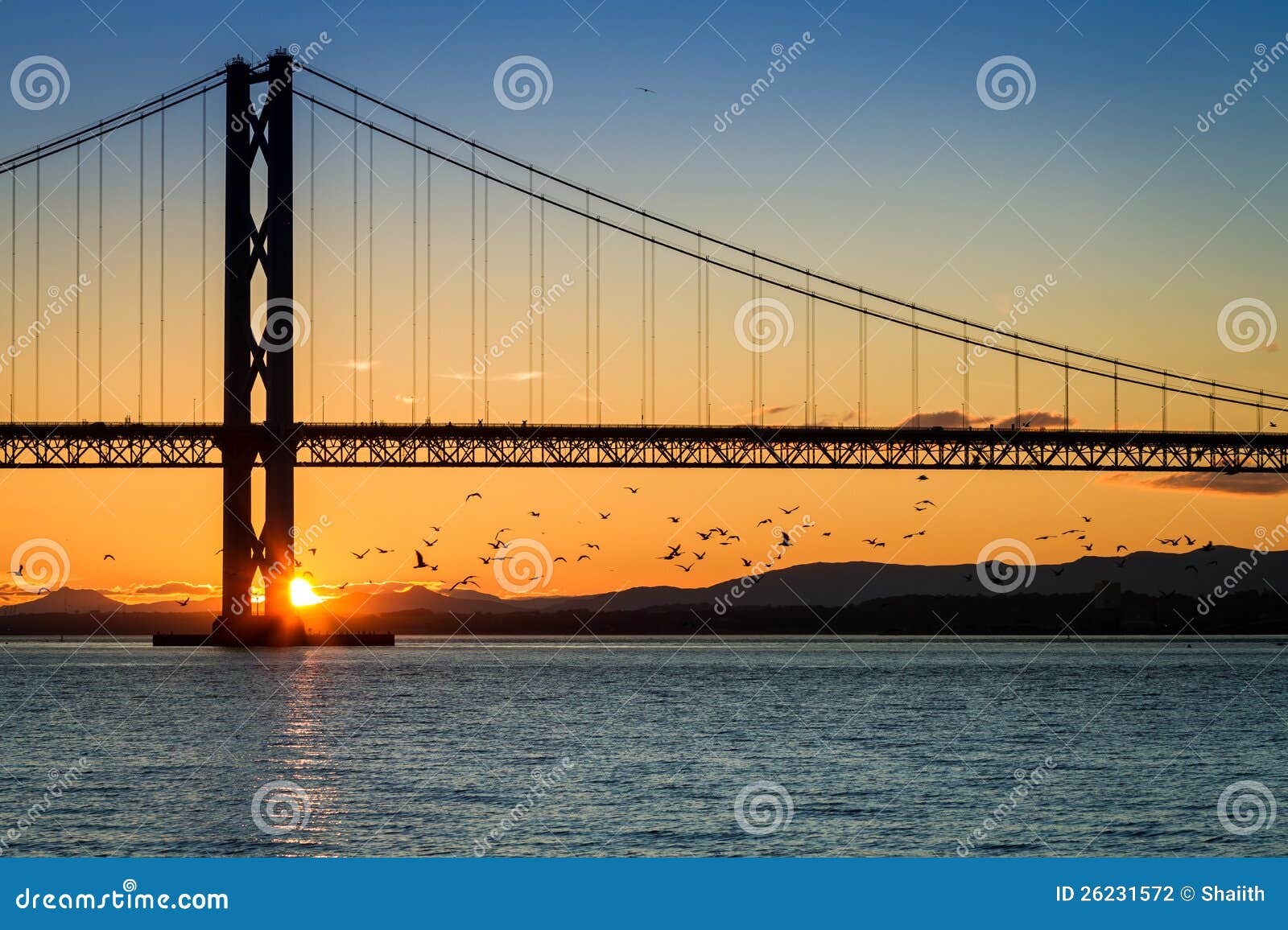 Birds Flying at Sunset Under the Bridge Stock Photo - Image of bridge ...