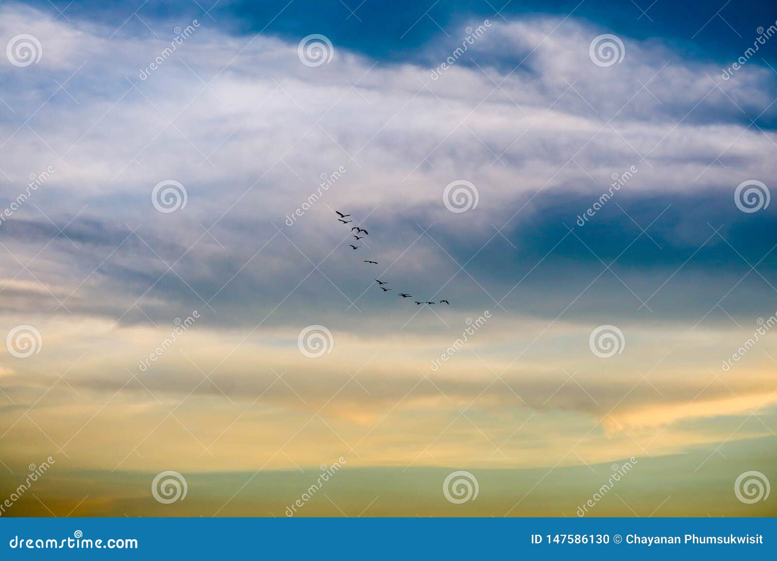 Birds Flying To Home on Colorful Sky Soft Cloud Stock Photo - Image of ...