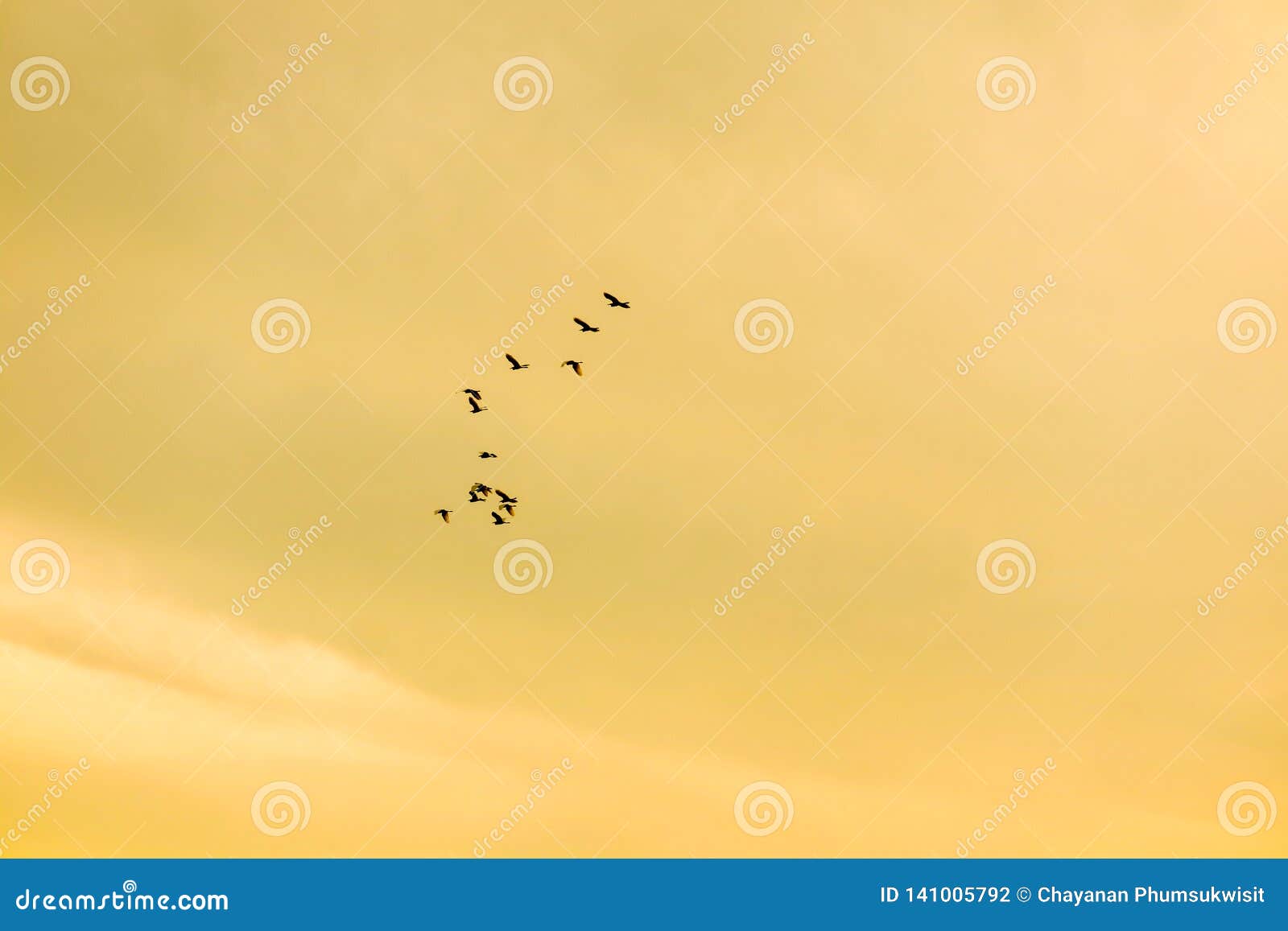 Birds Flying To Home on Sunset Sky Soft Cloud Stock Photo - Image of ...