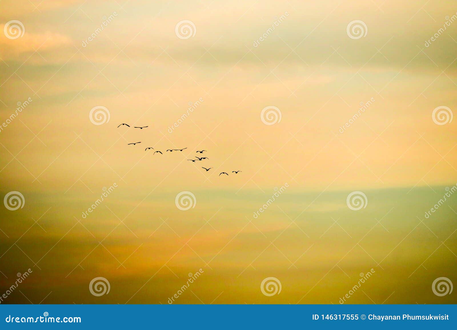 Birds Flying To Home on Sunset Sky Soft Cloud Stock Image - Image of ...