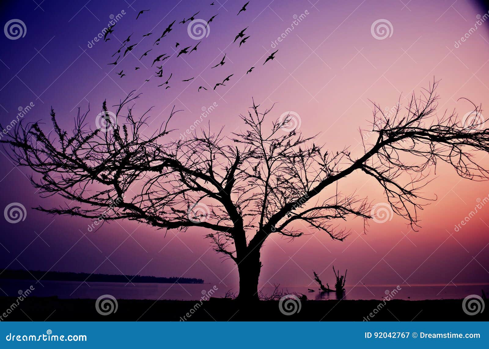 Birds flying from trees stock image. Image of bird, purple - 92042767