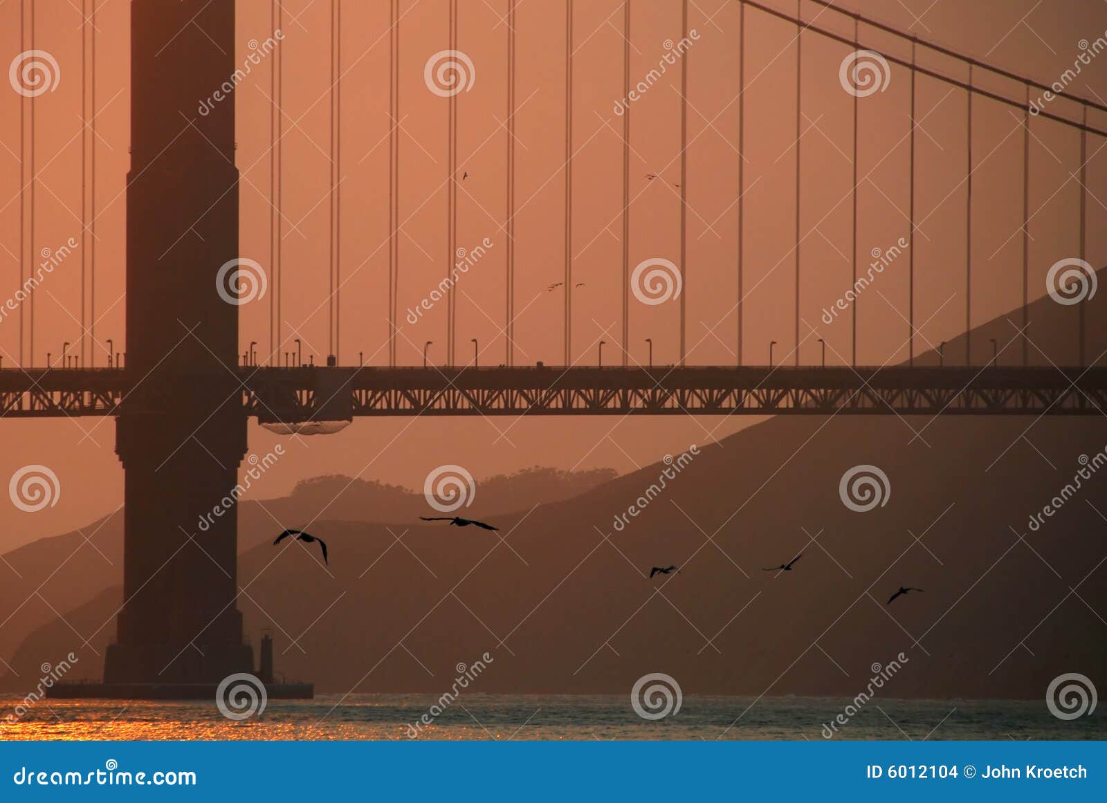Birds Flying Under Golden Gate Bridge Stock Photo - Image of sunset ...