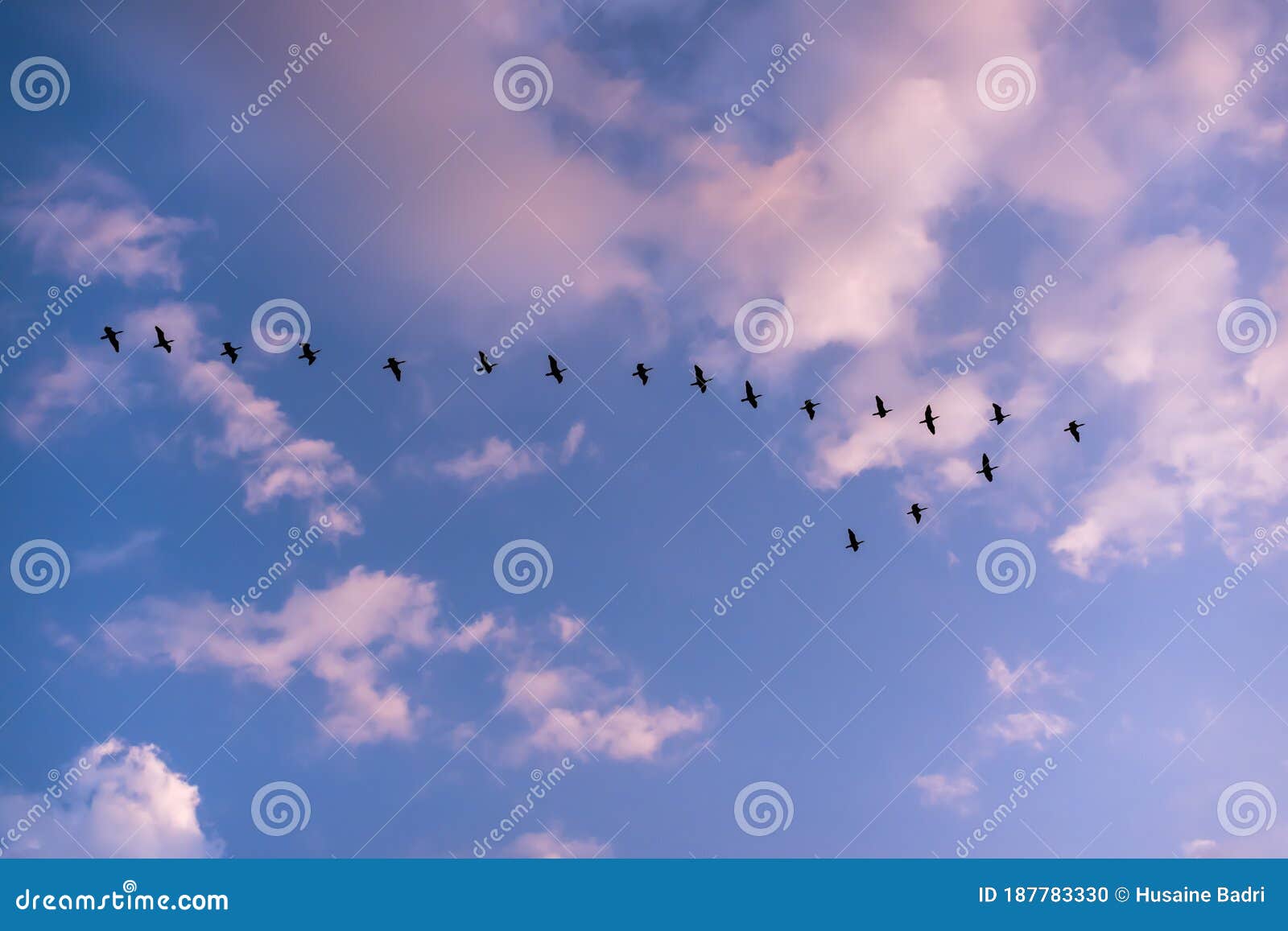 Birds Flying in V Form Shape in Blue Sky Clouds Stock Photo - Image of ...