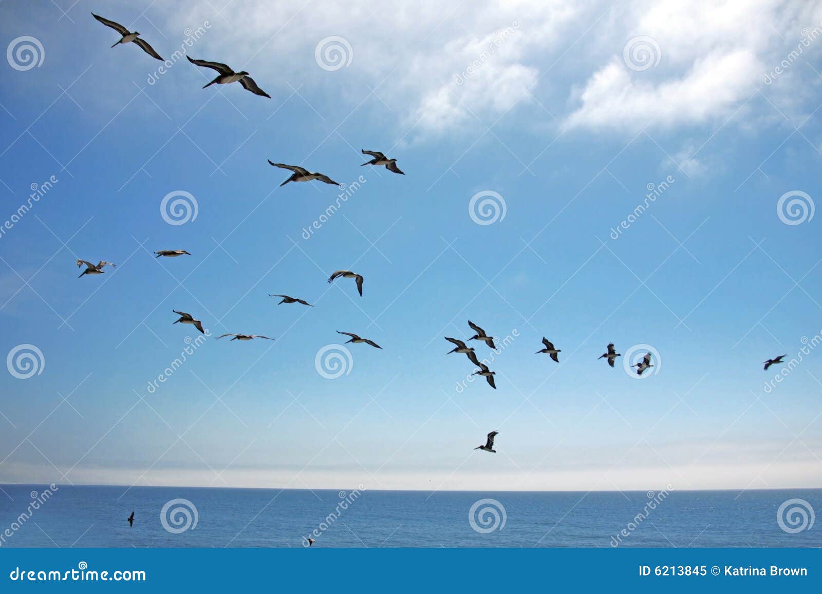 Birds in Formation Across the Sky Over the Ocean Stock Image - Image of ...