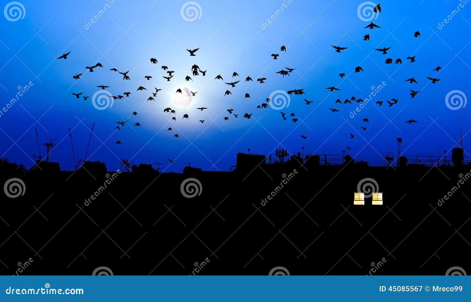Birds with Full Moon Over City Rooftops Stock Image - Image of ...