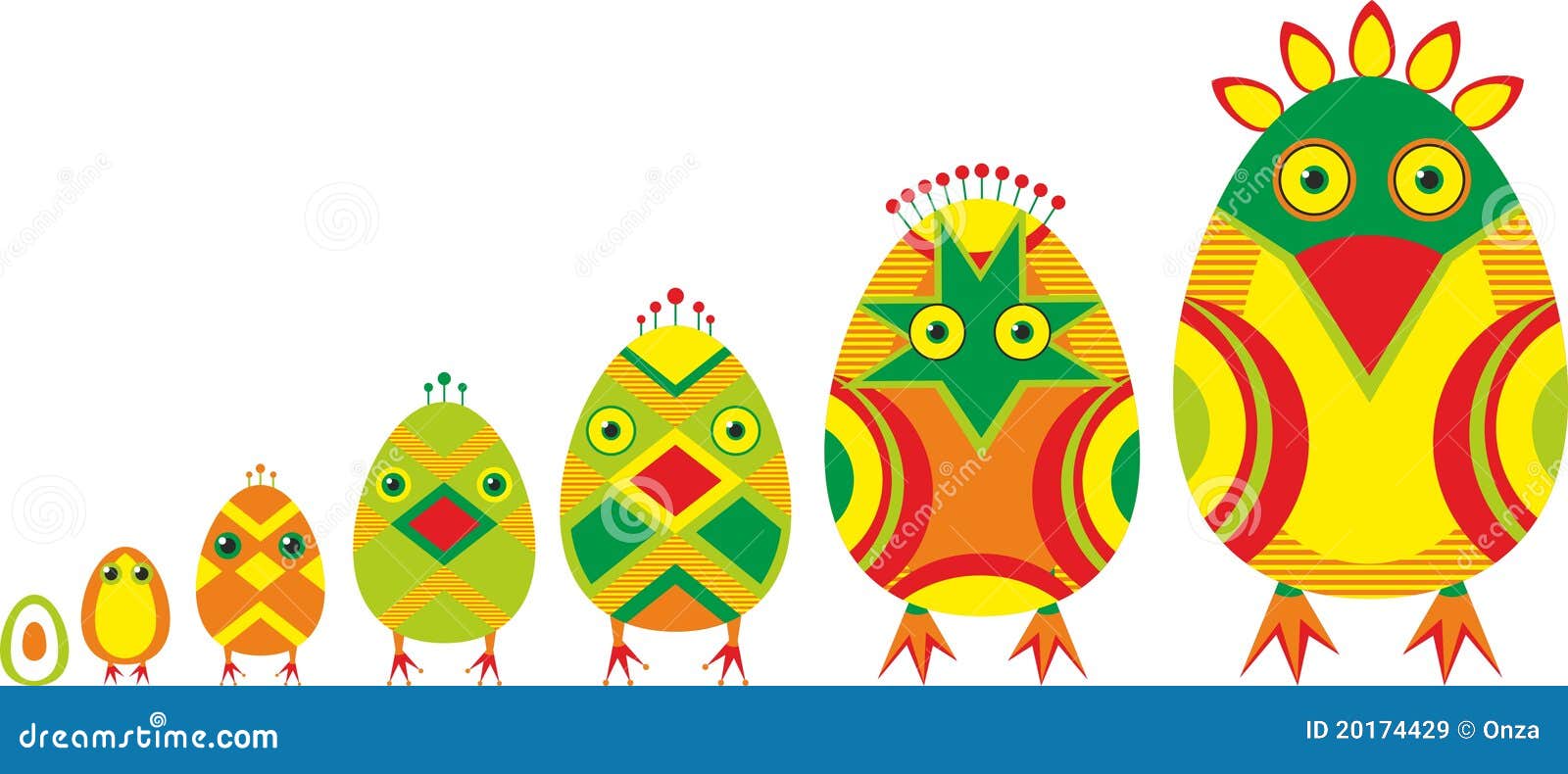 Birds growth stock vector. Illustration of isolated, progress - 20174429