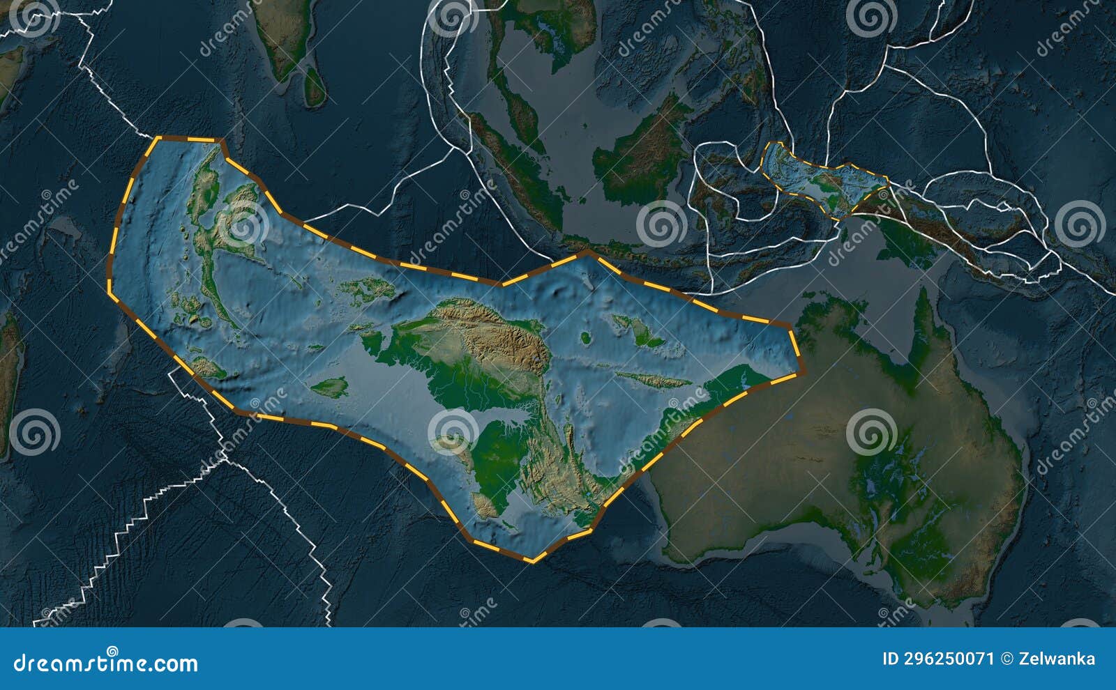 Birds Head Plate Extracted. Fahey. Physical Stock Illustration ...
