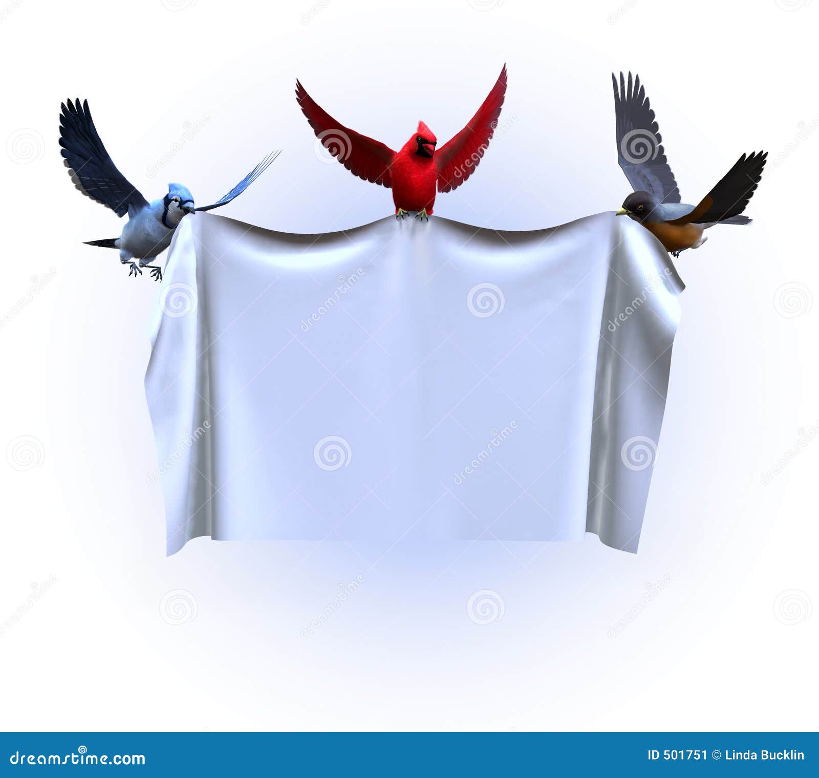 Birds Holding a Blank Banner - with Clipping Path Stock Illustration ...