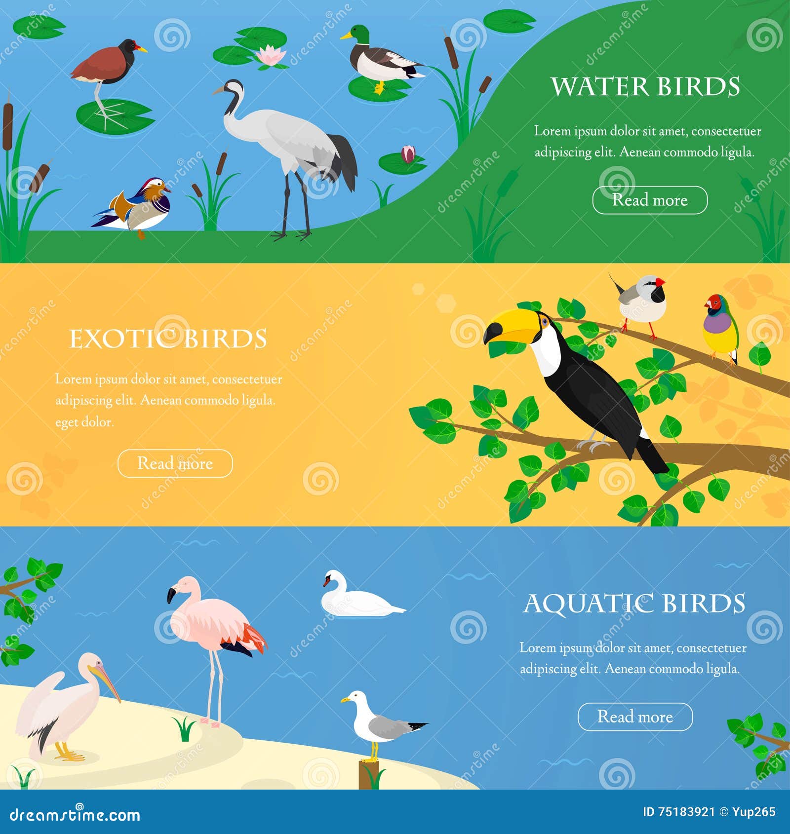Birds Horizontal Banners Set Stock Vector - Illustration of gouldian ...