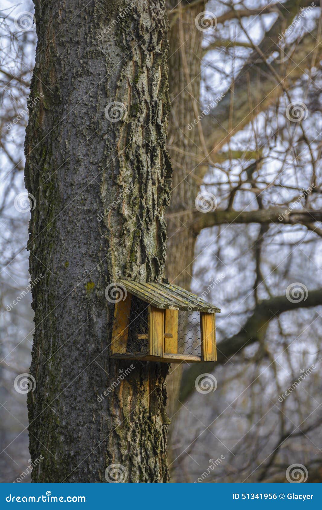 Bird house stock photo. Image of tree, natural, birdbox - 51341956
