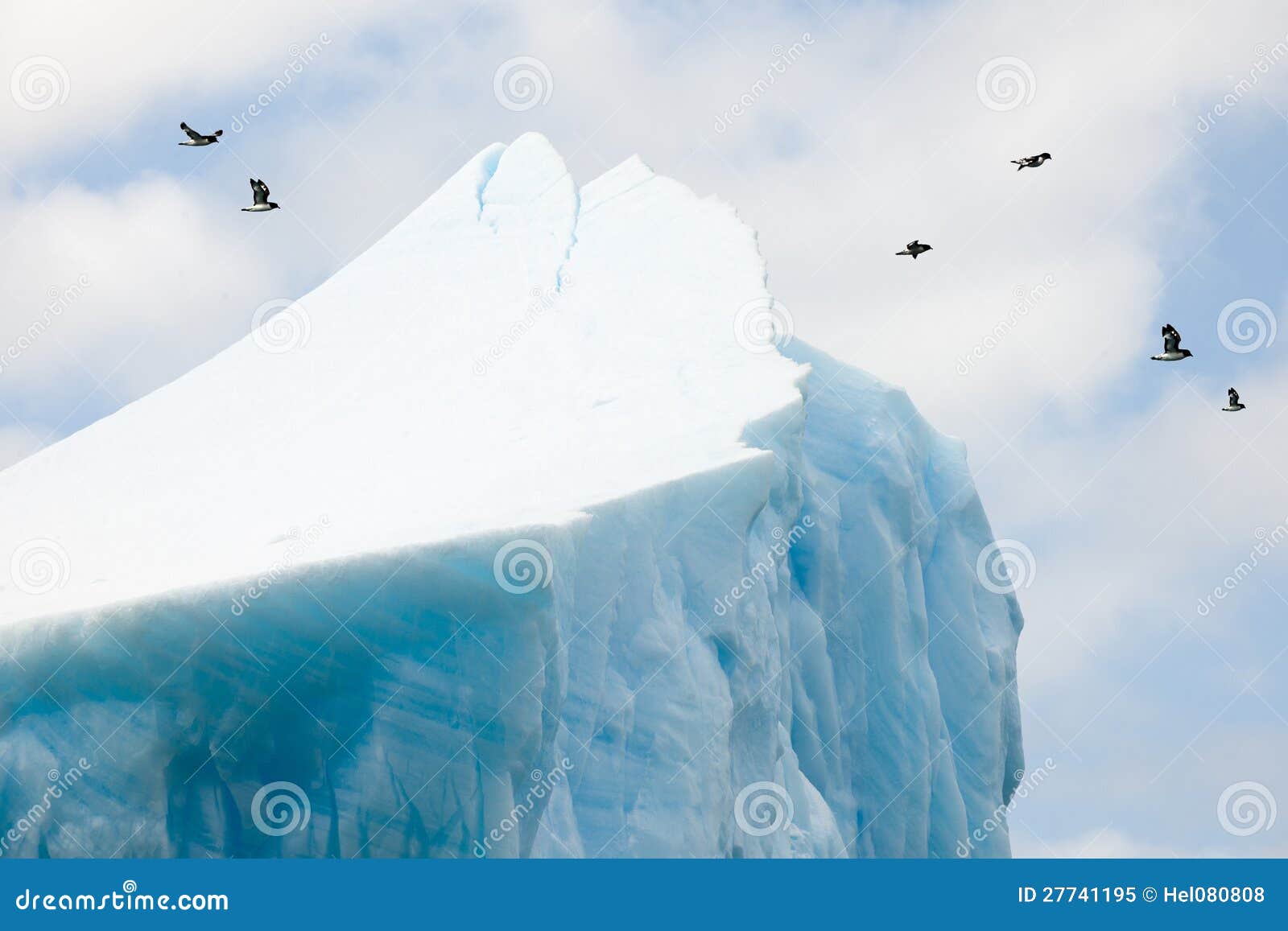 Iceberg with Birds Flying Around, Antarctica Stock Image - Image of ...