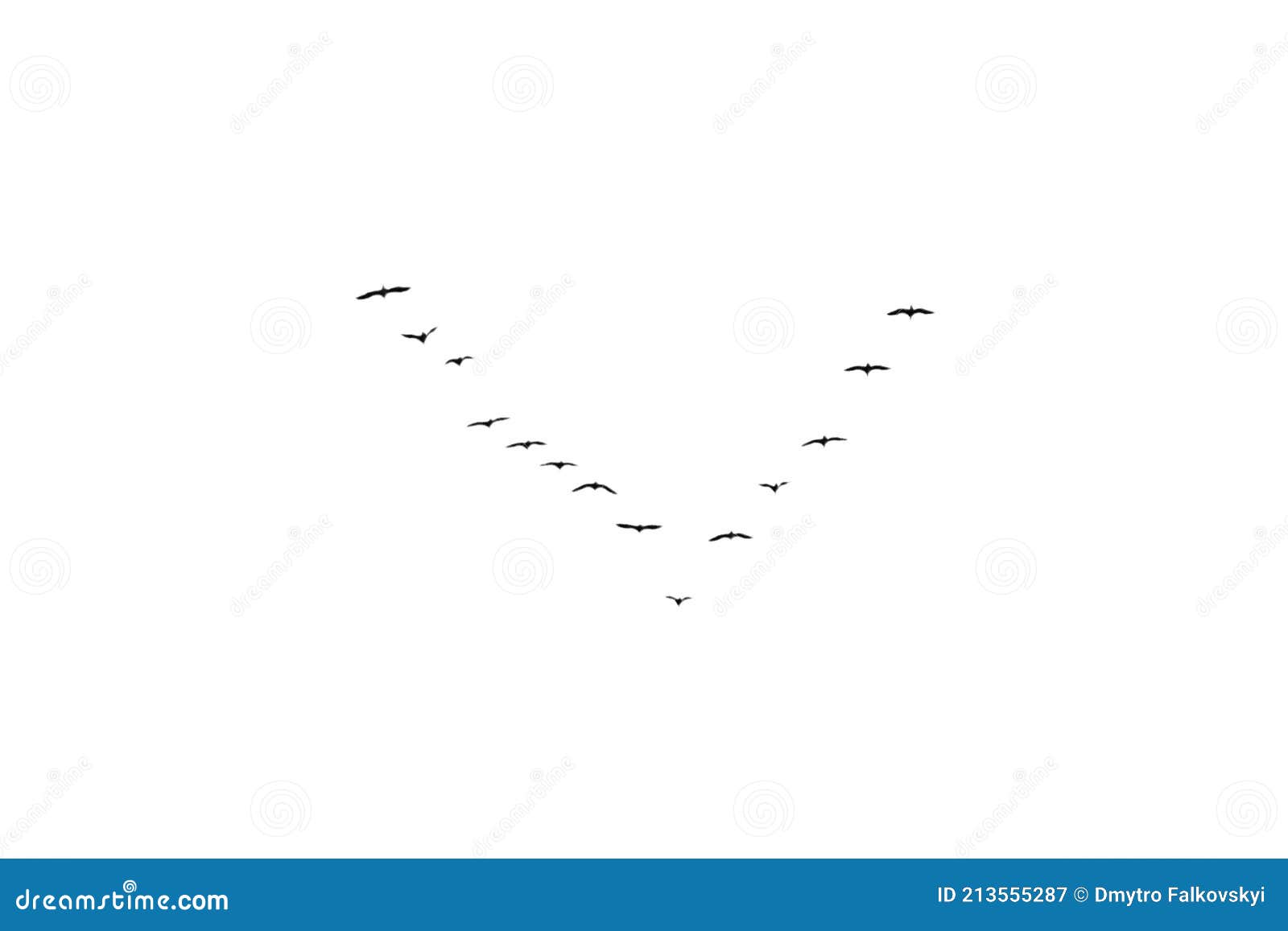 Birds Key in Flight Isolated on White Stock Illustration - Illustration ...