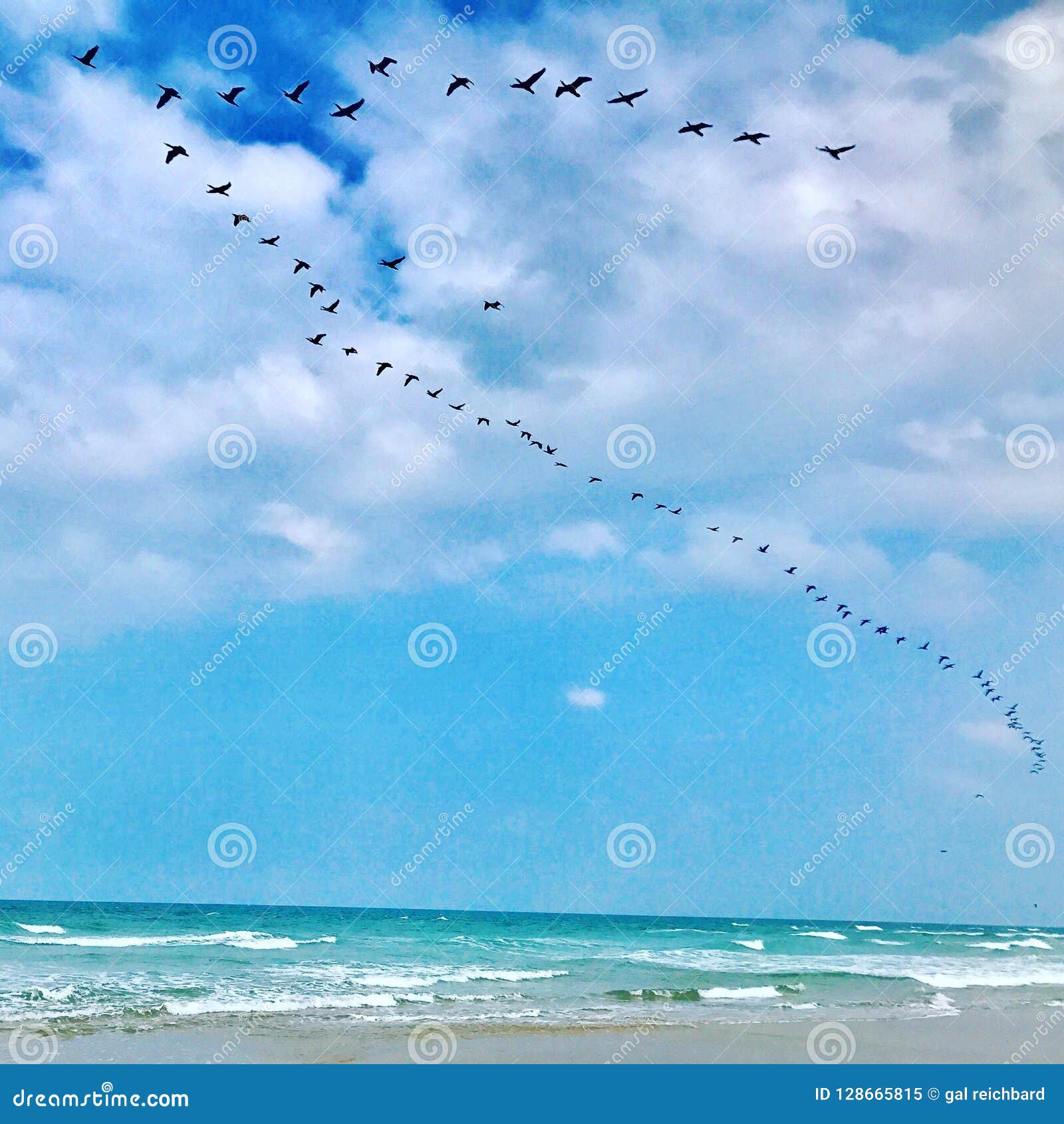 Birds migrating south stock image. Image of birds, israel - 128665815