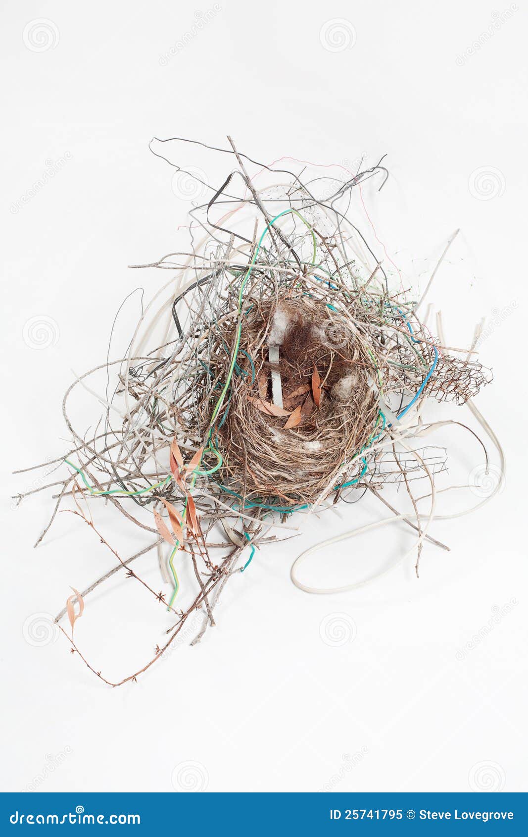 Birds Nest stock image. Image of fridge, wire, nesting - 25741795