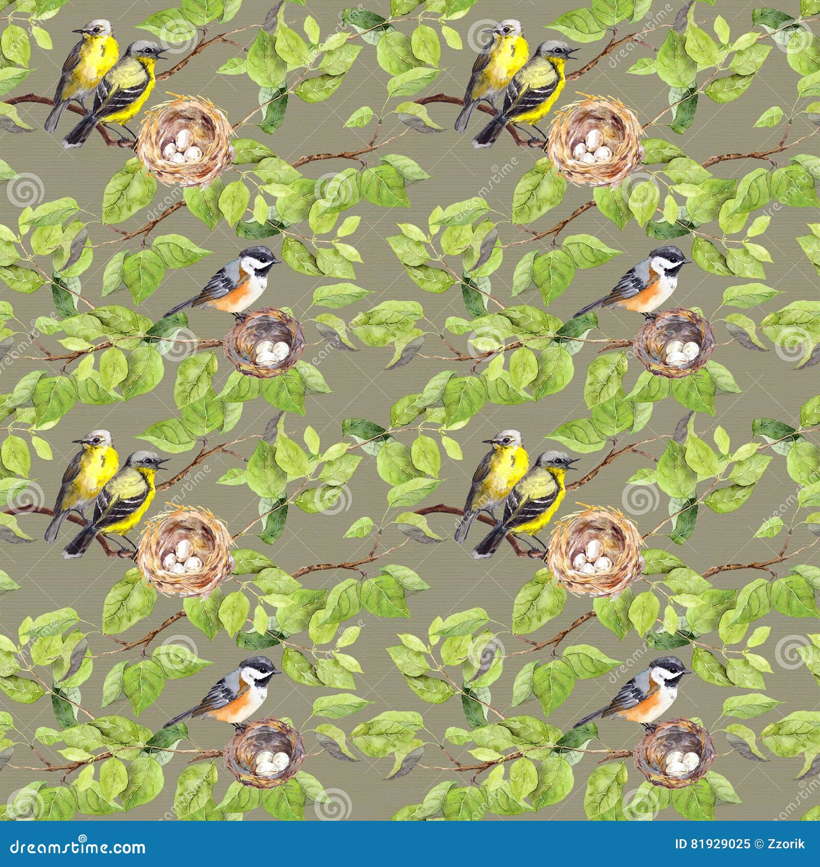 Birds, Nest on Branch. Seamless Repeating Pattern. Watercolor Stock ...