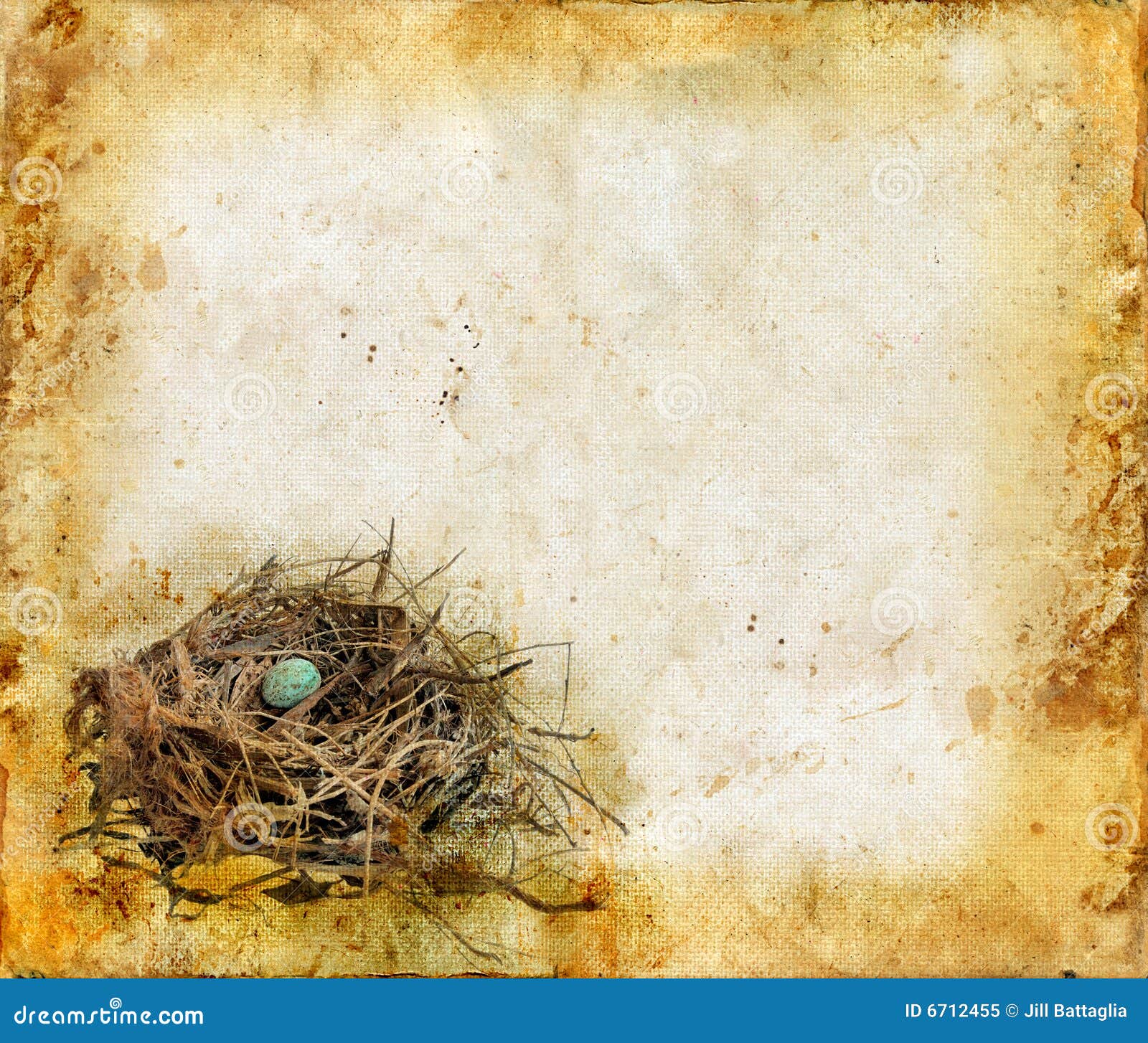 Birds Nest on a Grunge Background Stock Illustration - Illustration of ...