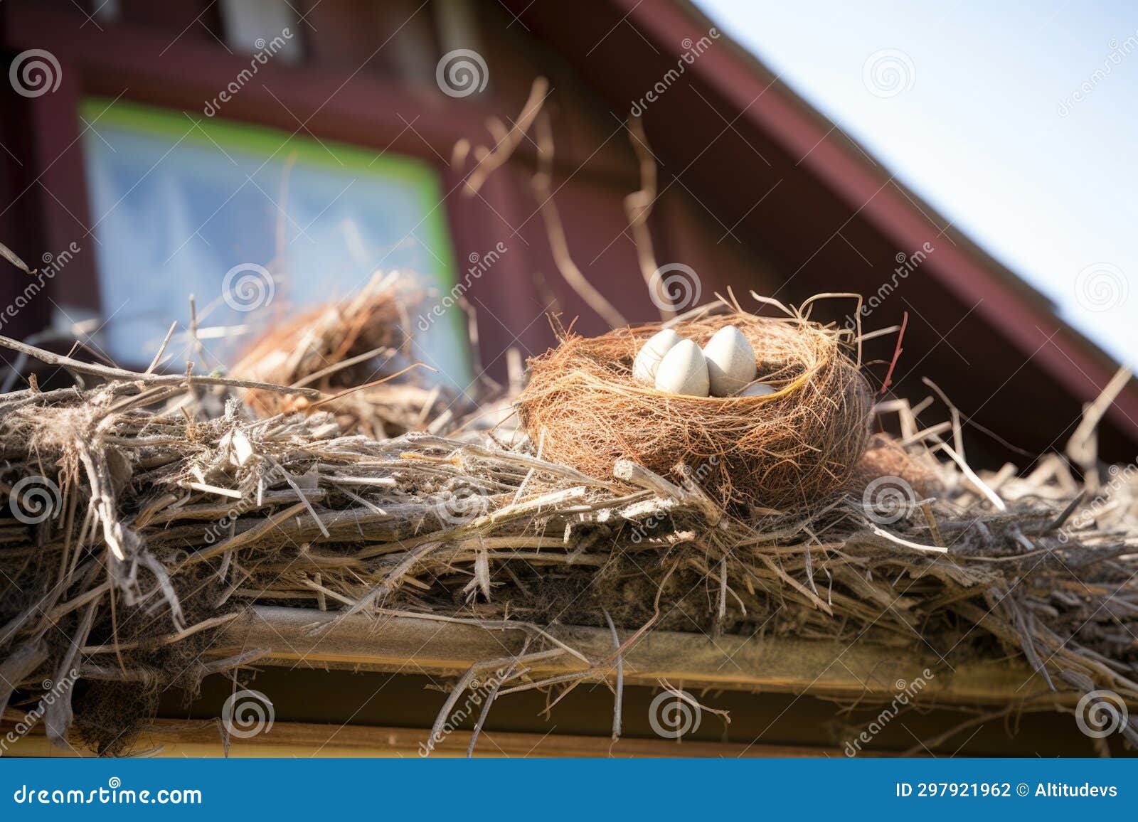 Birds Nesting in the Eaves of a Prairie House Stock Photo - Image of ...