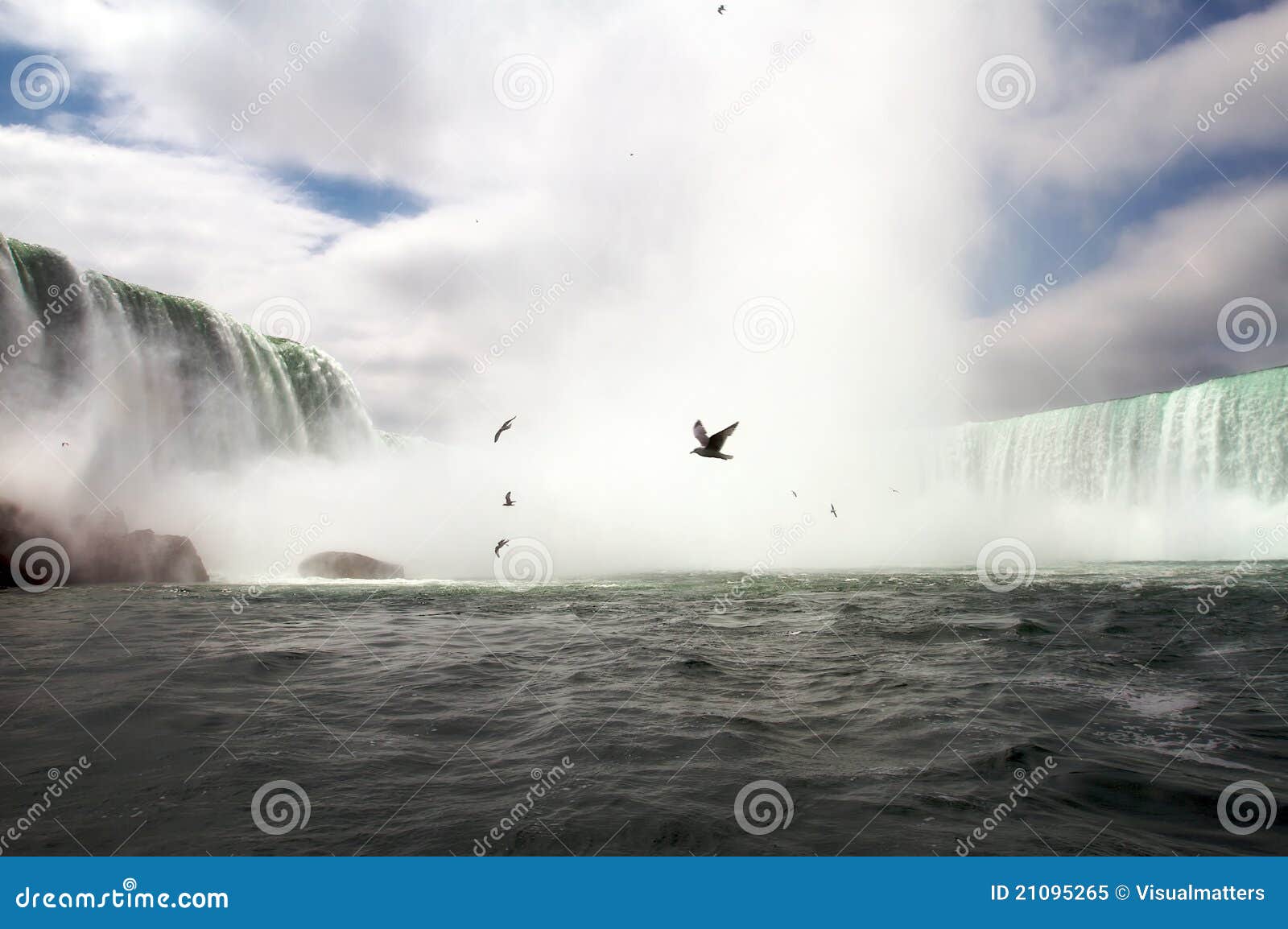 Birds Niagara Falls stock image. Image of creatures, cascading - 21095265