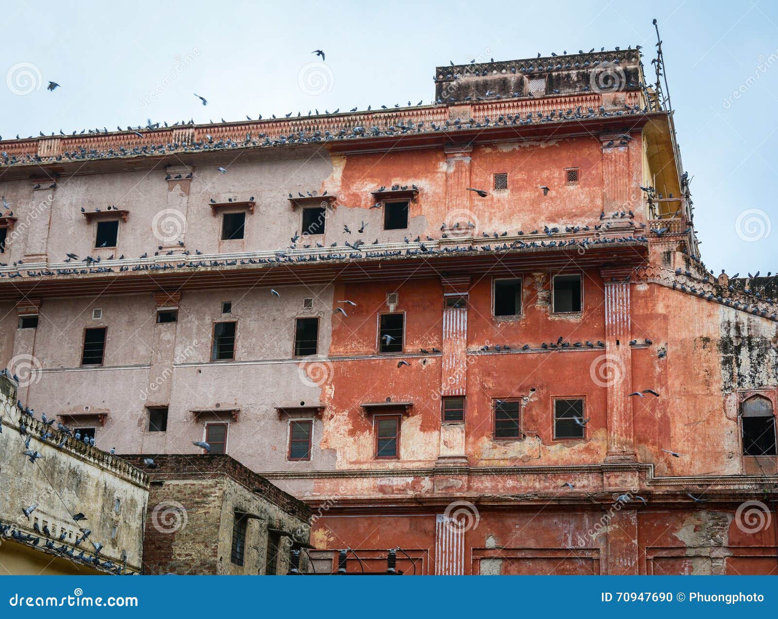 Birds at the Old Houses in Jaipur, India Stock Photo - Image of state ...