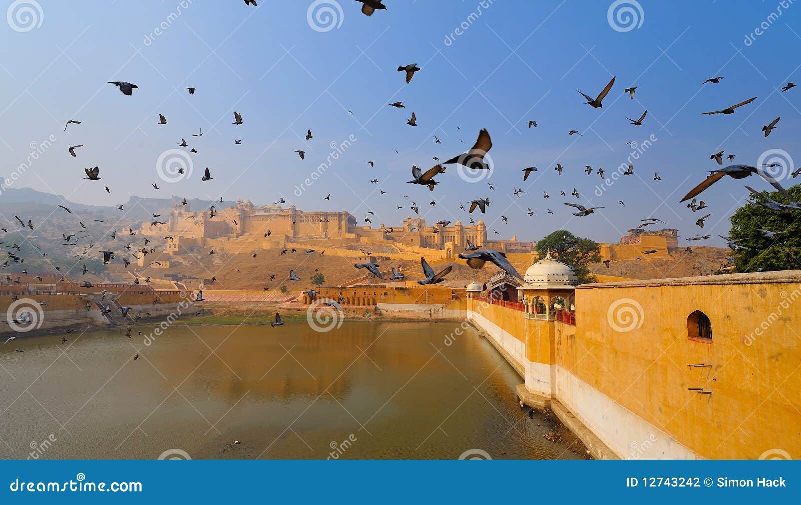 Birds over amber fort stock photo. Image of birds, lake - 12743242