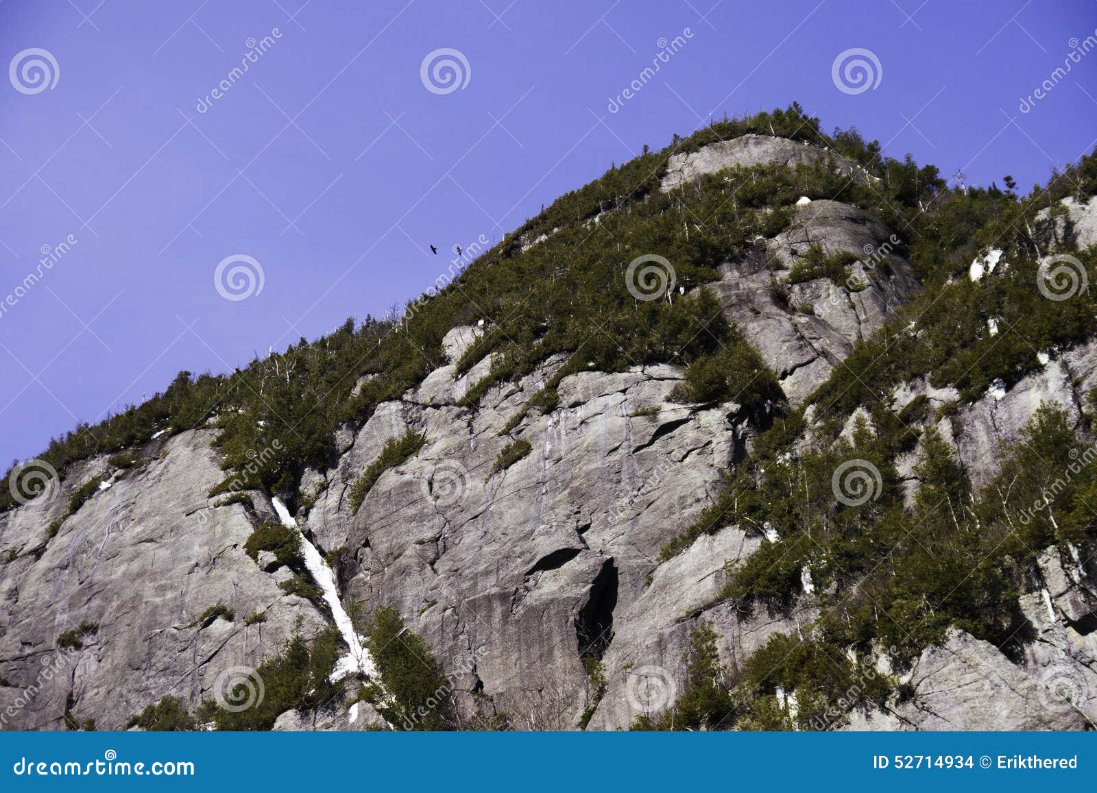 Birds over cliff stock photo. Image of wilderness, ascend - 52714934