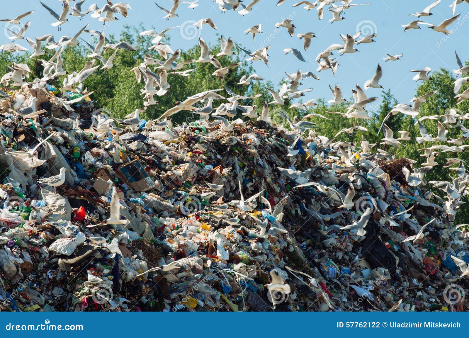 Birds Over A Garbage Landfill At Sunset. Royalty-Free Stock Image ...