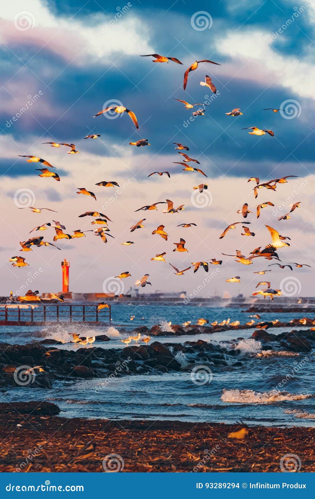 Birds over the sea stock photo. Image of beacon, outdoors - 93289294