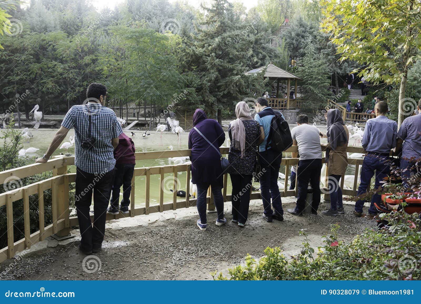 Birds Park People Visiting Birds in Their Protected Region Editorial ...