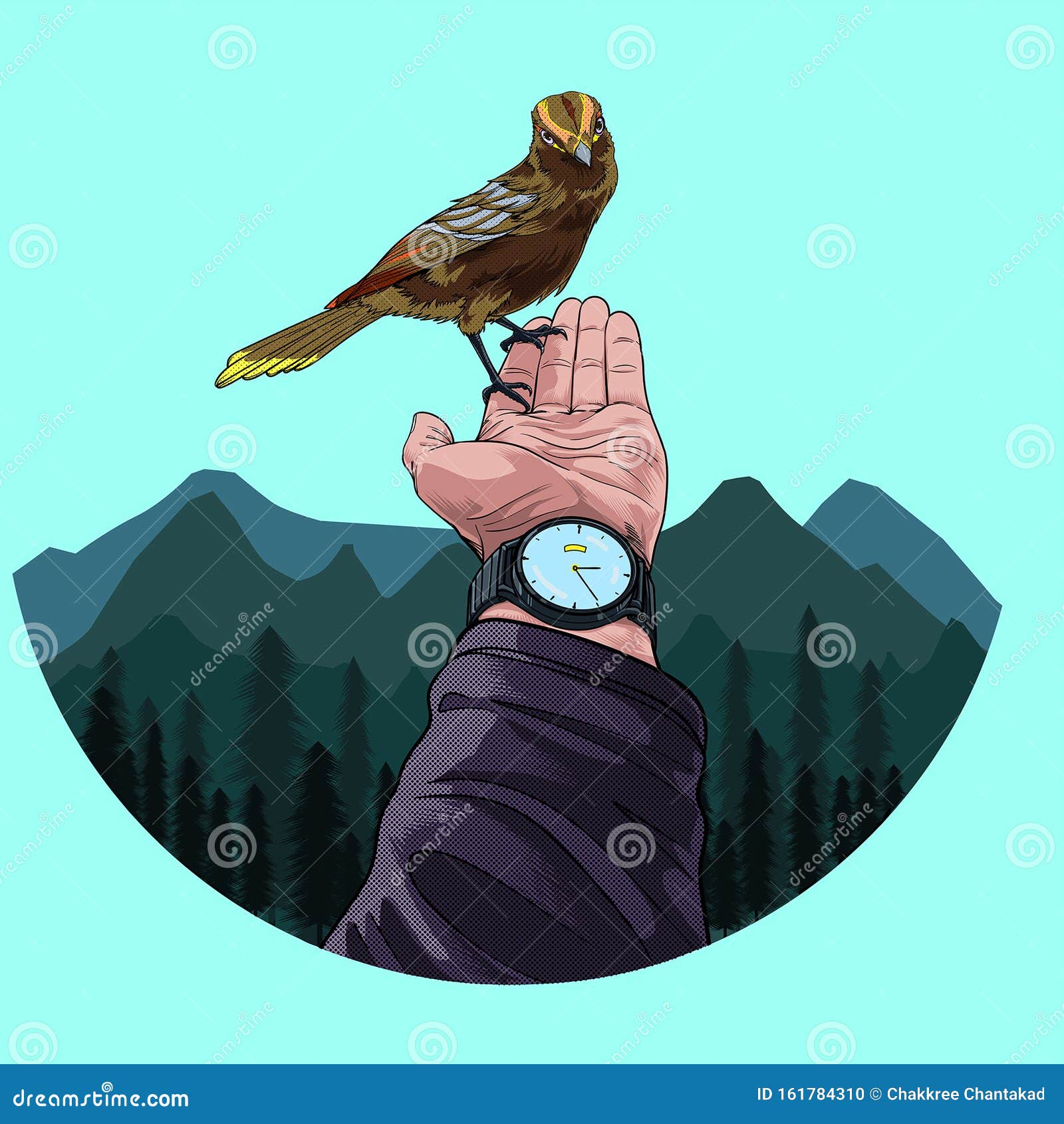 Birds are Perching in the Hands of Humans in the Natural Illustration ...