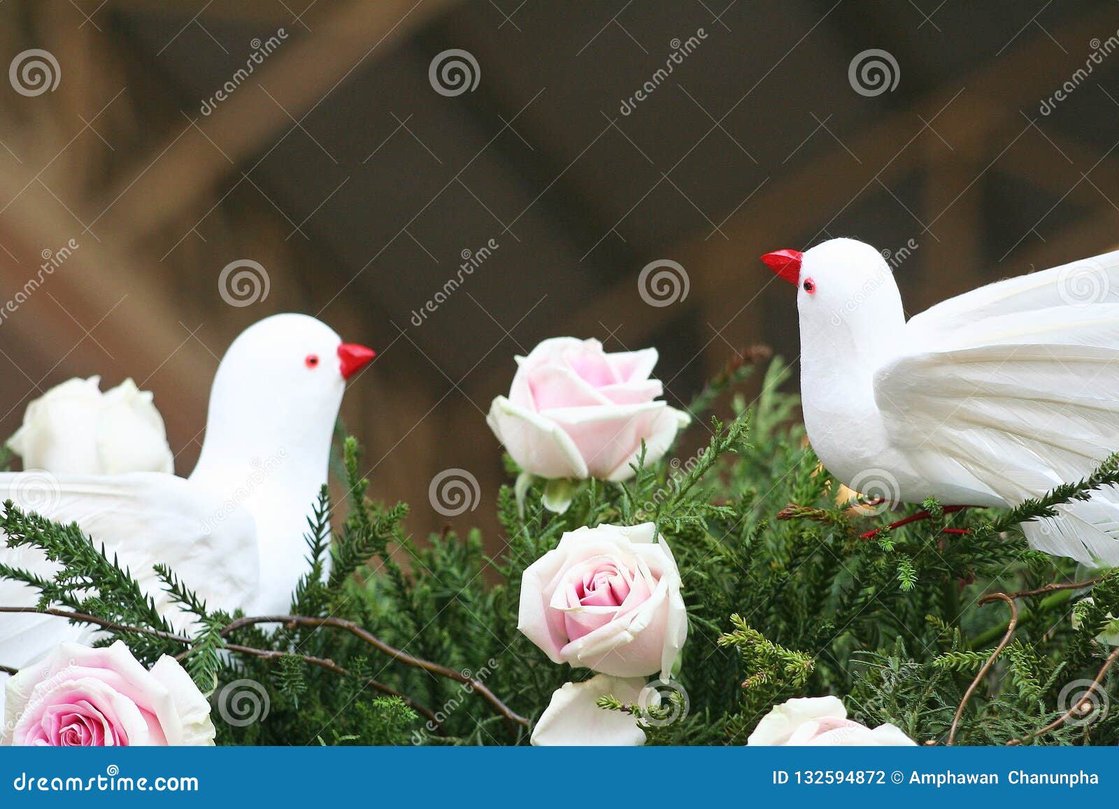 Birds and pink roses stock photo. Image of birds, bright - 132594872