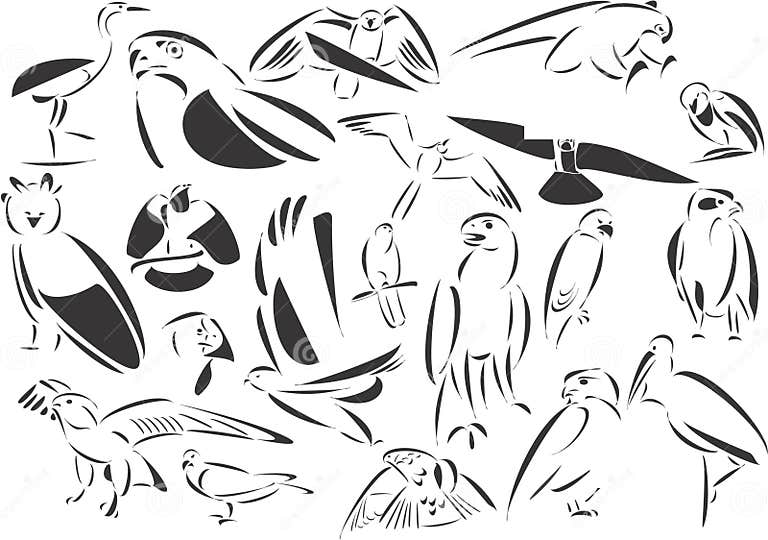 Birds Predators stock vector. Illustration of drawing - 6890070