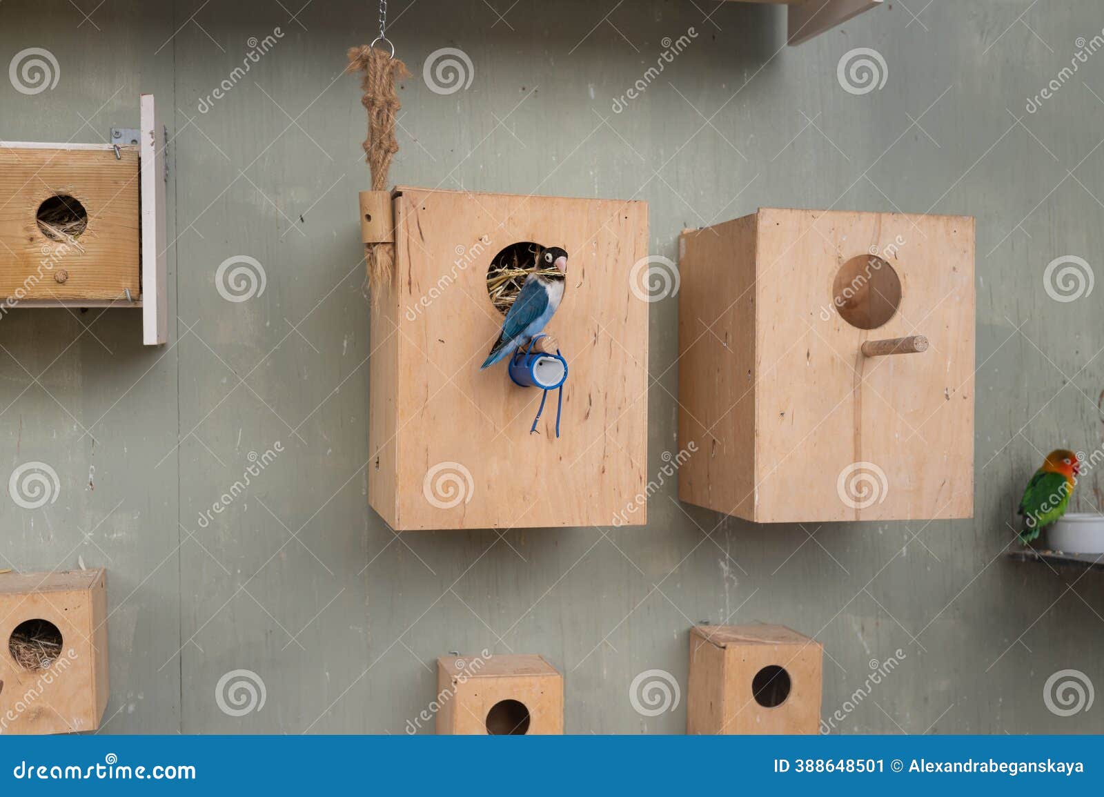 Wooden Nesting Boxes Birdhouses On The Blue Sky Bird`s Hostel. A Lot Of ...