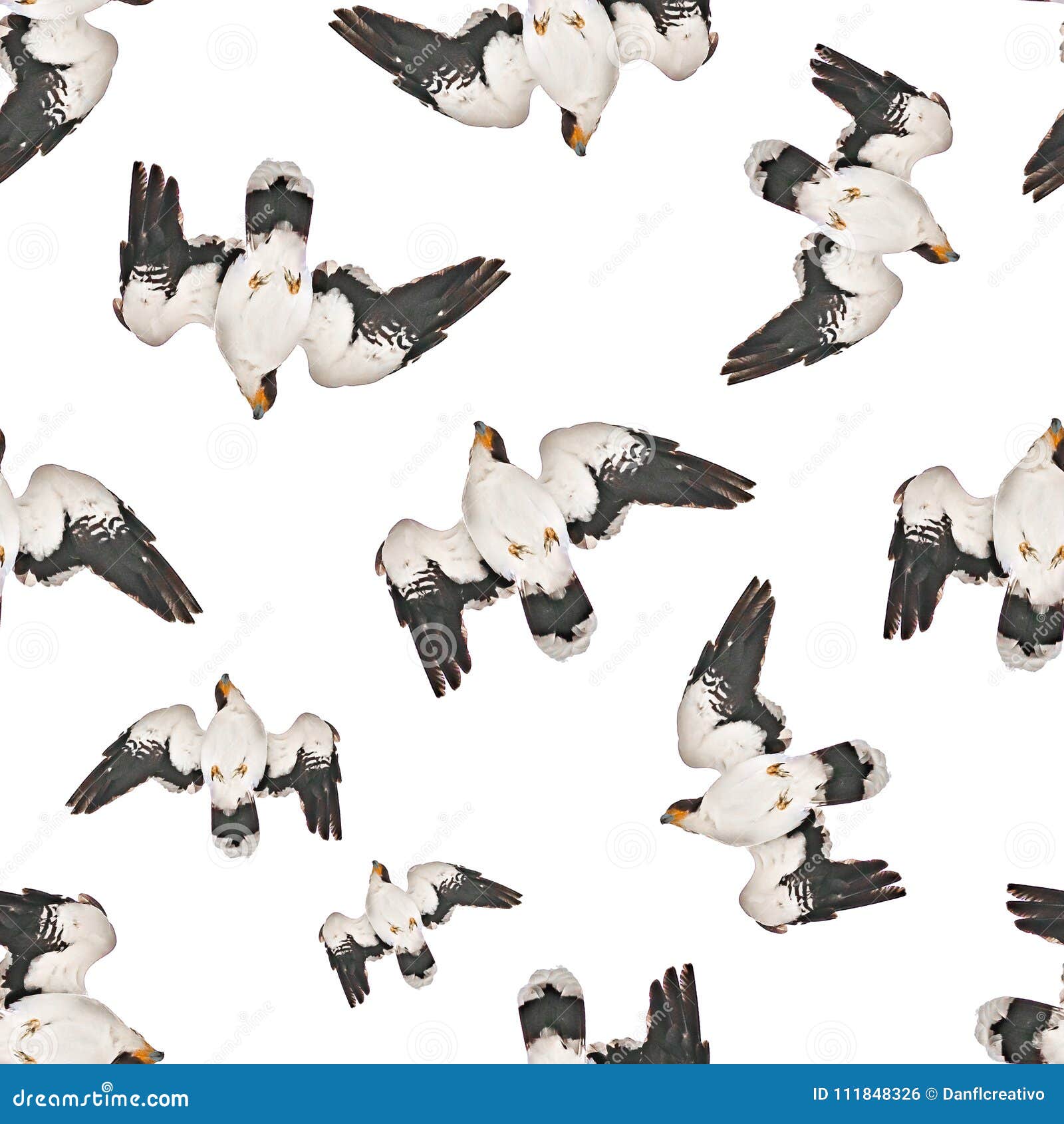 Birds Seamless Pattern Photo Collage Stock Photo - Image of pattern ...