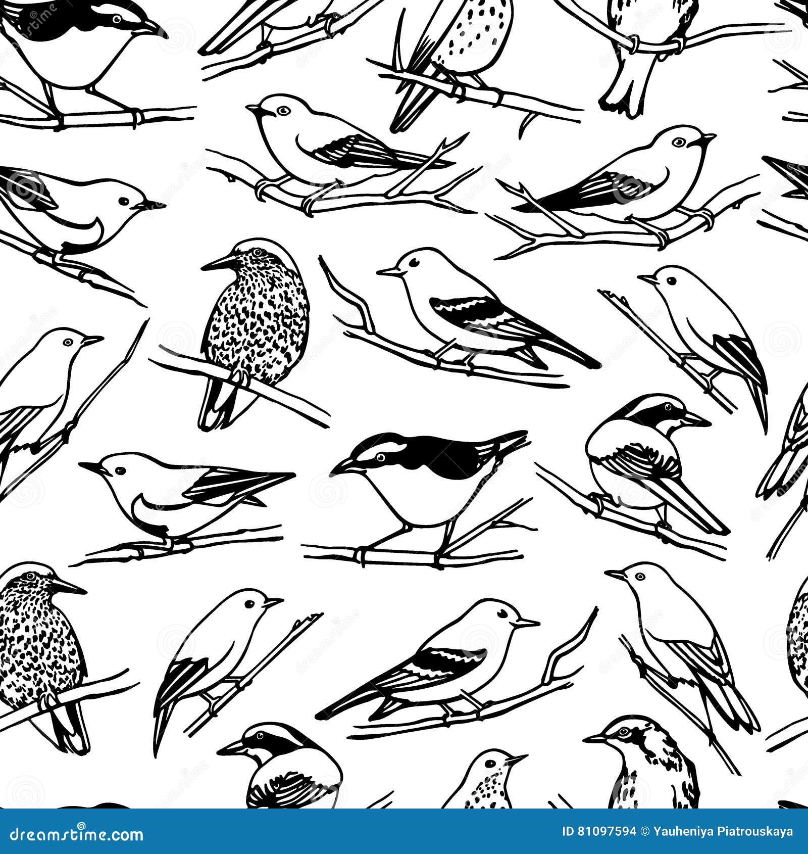 Birds seamless pattern stock vector. Illustration of feather - 81097594
