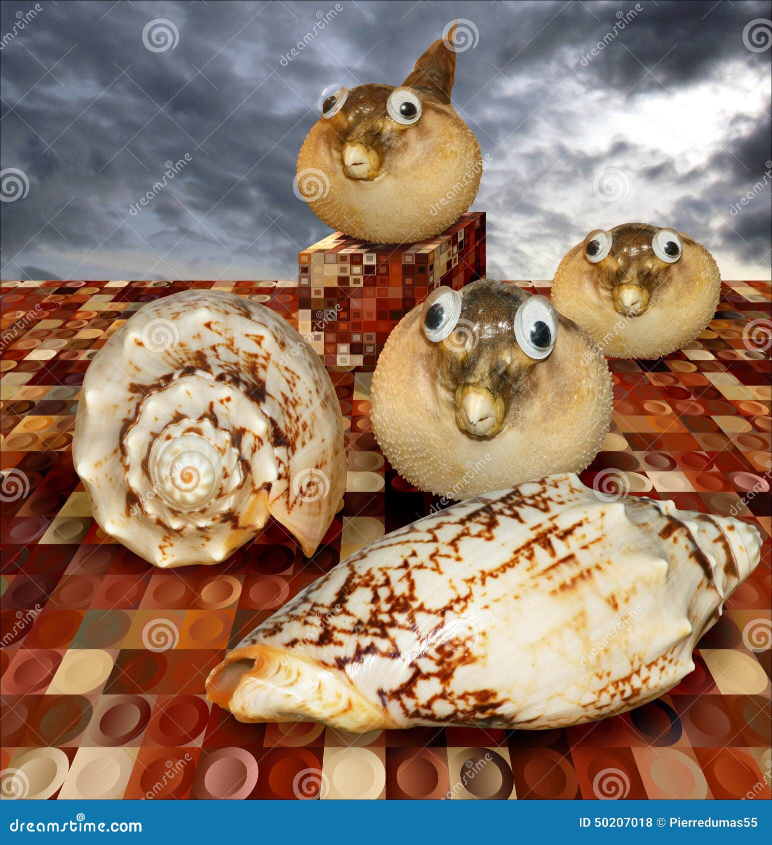 Birds and shells stock illustration. Illustration of vivid - 50207018