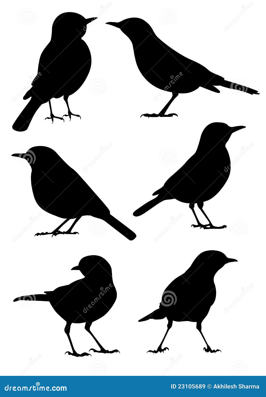 Birds Silhouette - vector stock vector. Illustration of clipart - 23105689