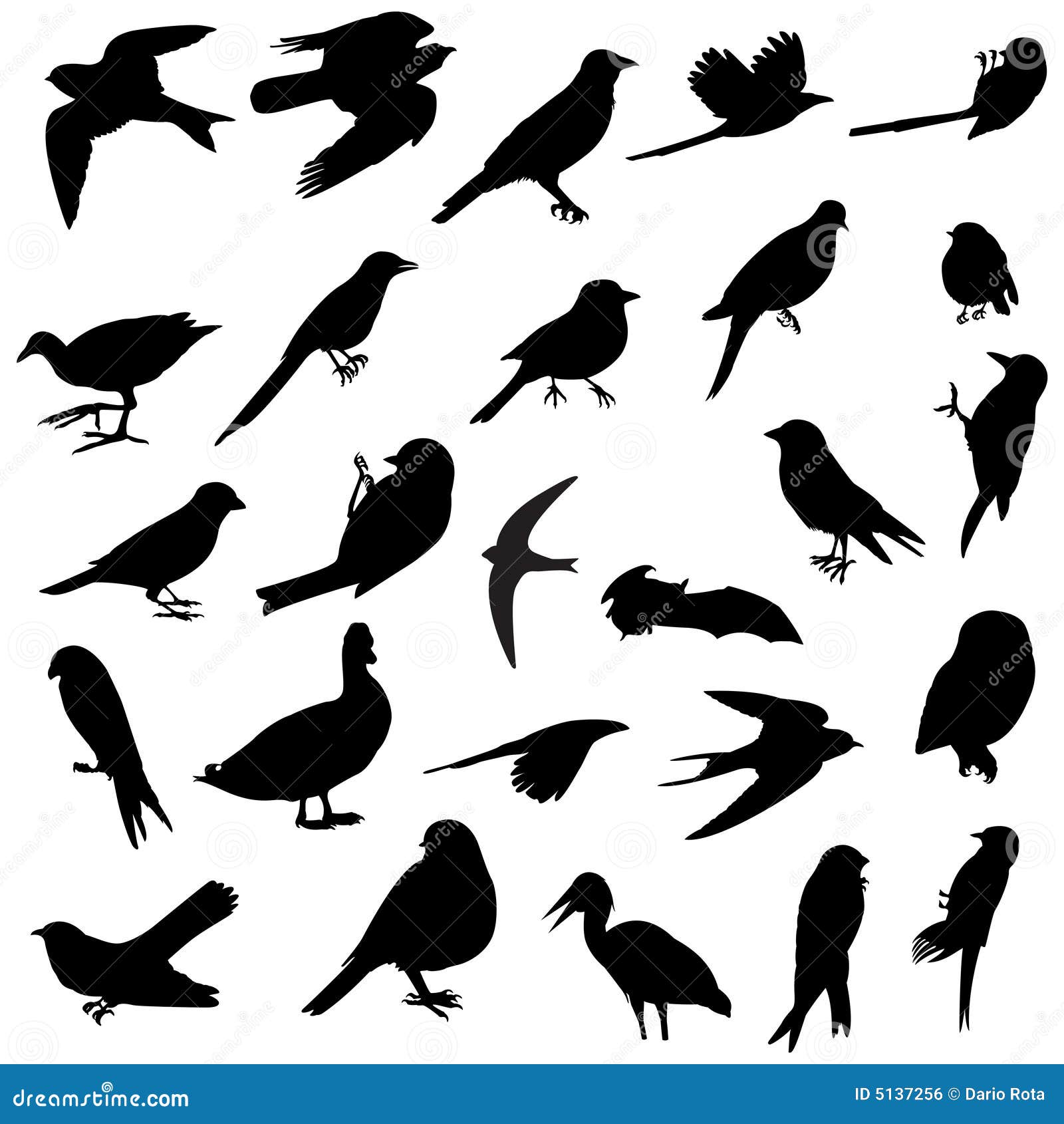 Birds silhouettes stock illustration. Image of naturalist - 5137256